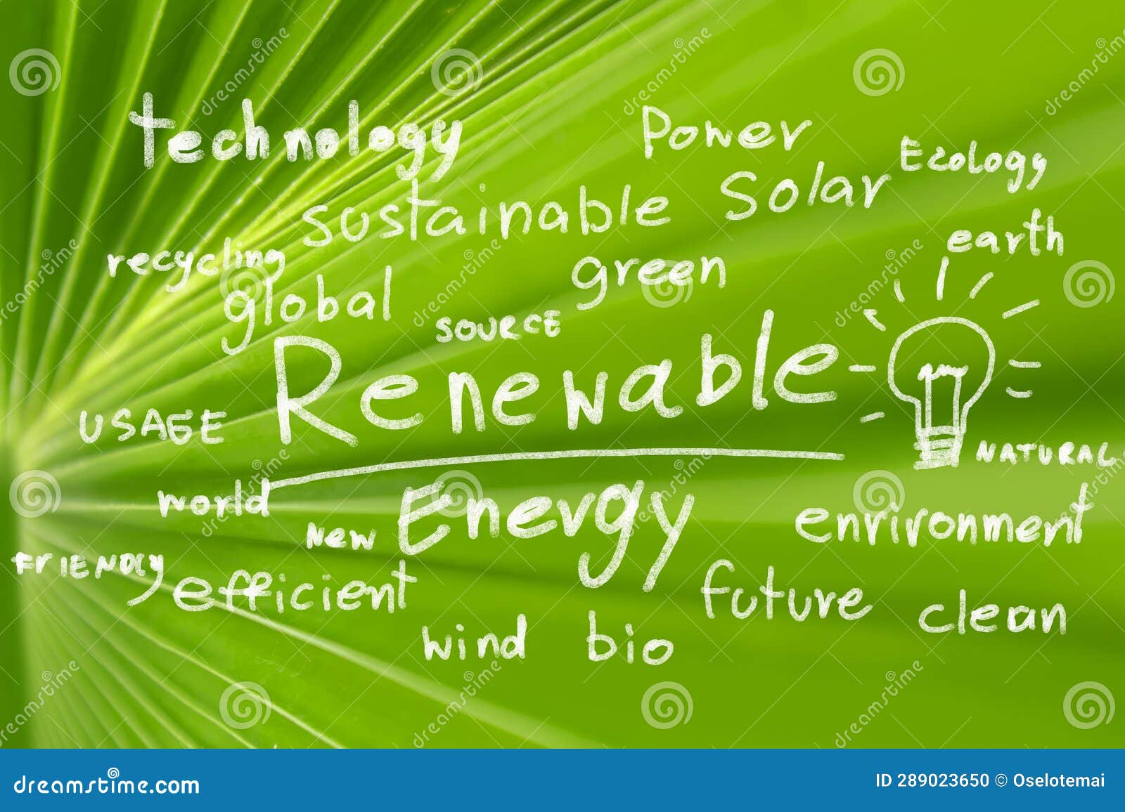 Renewable Energy Sources Include Eath Power, Global Wind, and Bioclean ...
