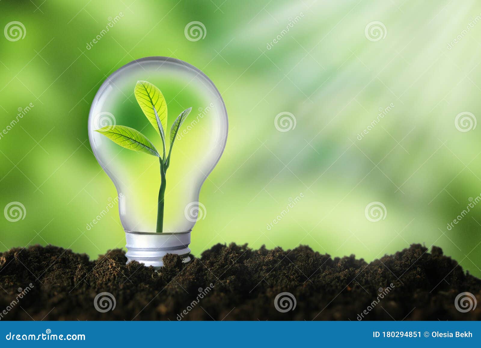 1,693,056 écologie Photos libres de droits et gratuites de Dreamstime