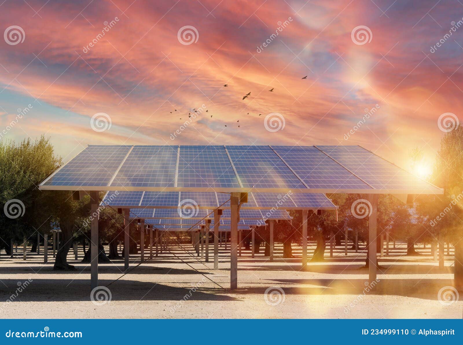 Renewable Energy System with a Group of Solar Panel Stock Photo - Image ...