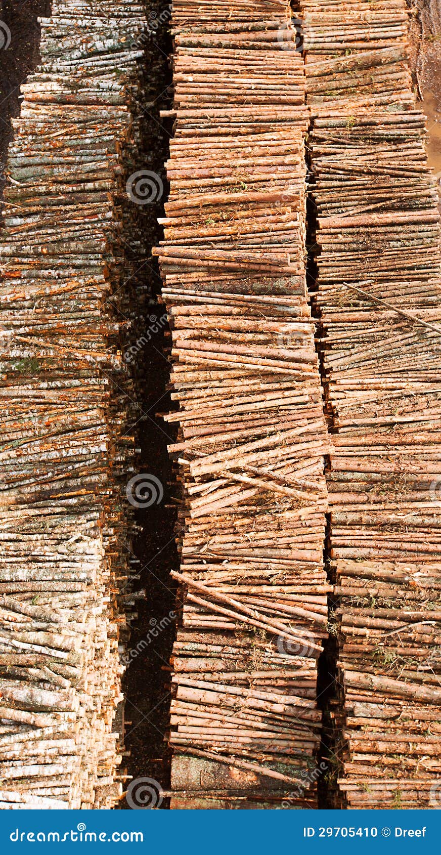 Timber resources stock photo. Image of logs, lumber, firewood - 29705410