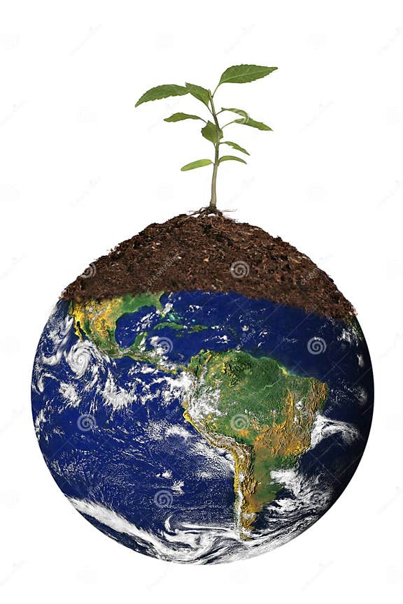 Renewing the Earth stock image. Image of green, planet - 6037647