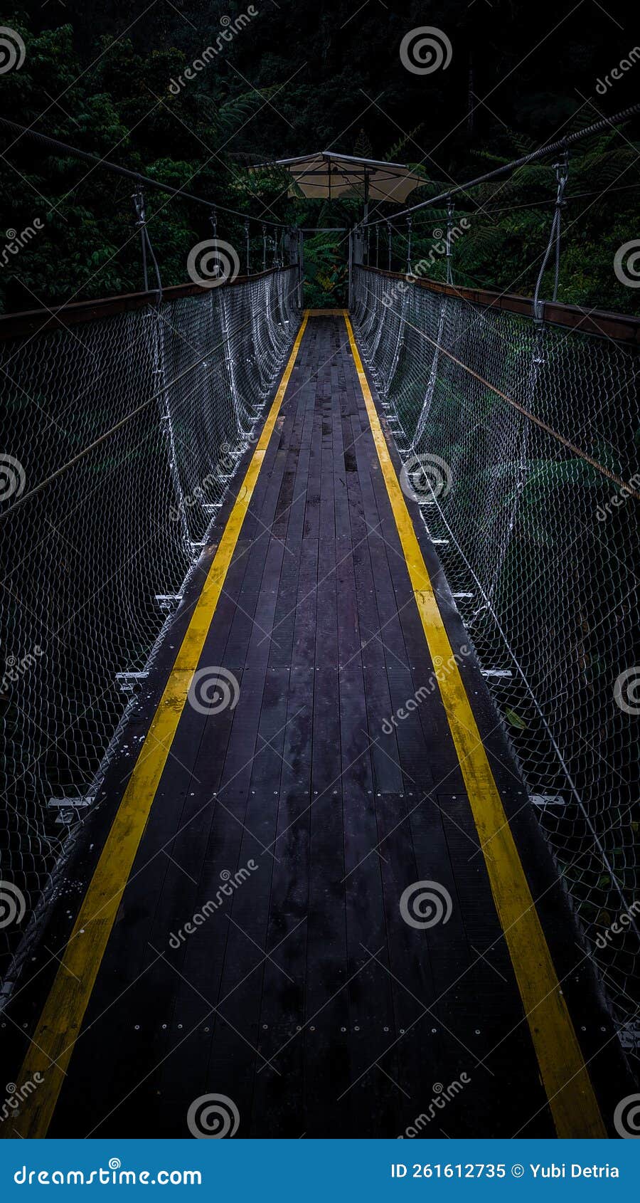 Rengganis Suspension Bridge Stock Image - Image of ciwidey, bridge ...