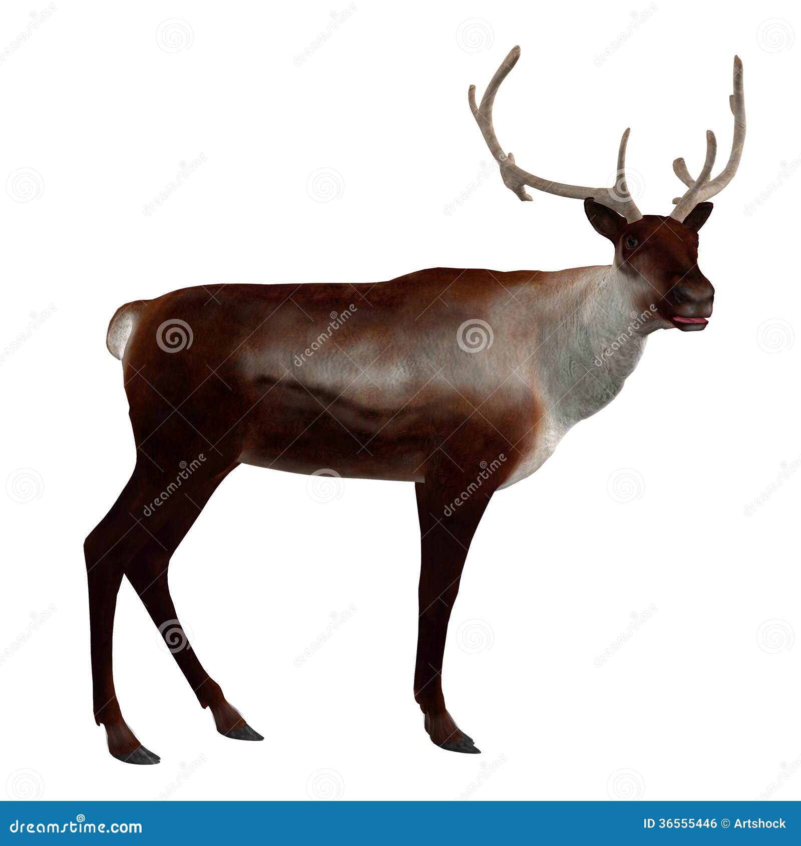 Reno 3d stock de ilustración. Ilustración de caza, animal - 36555446