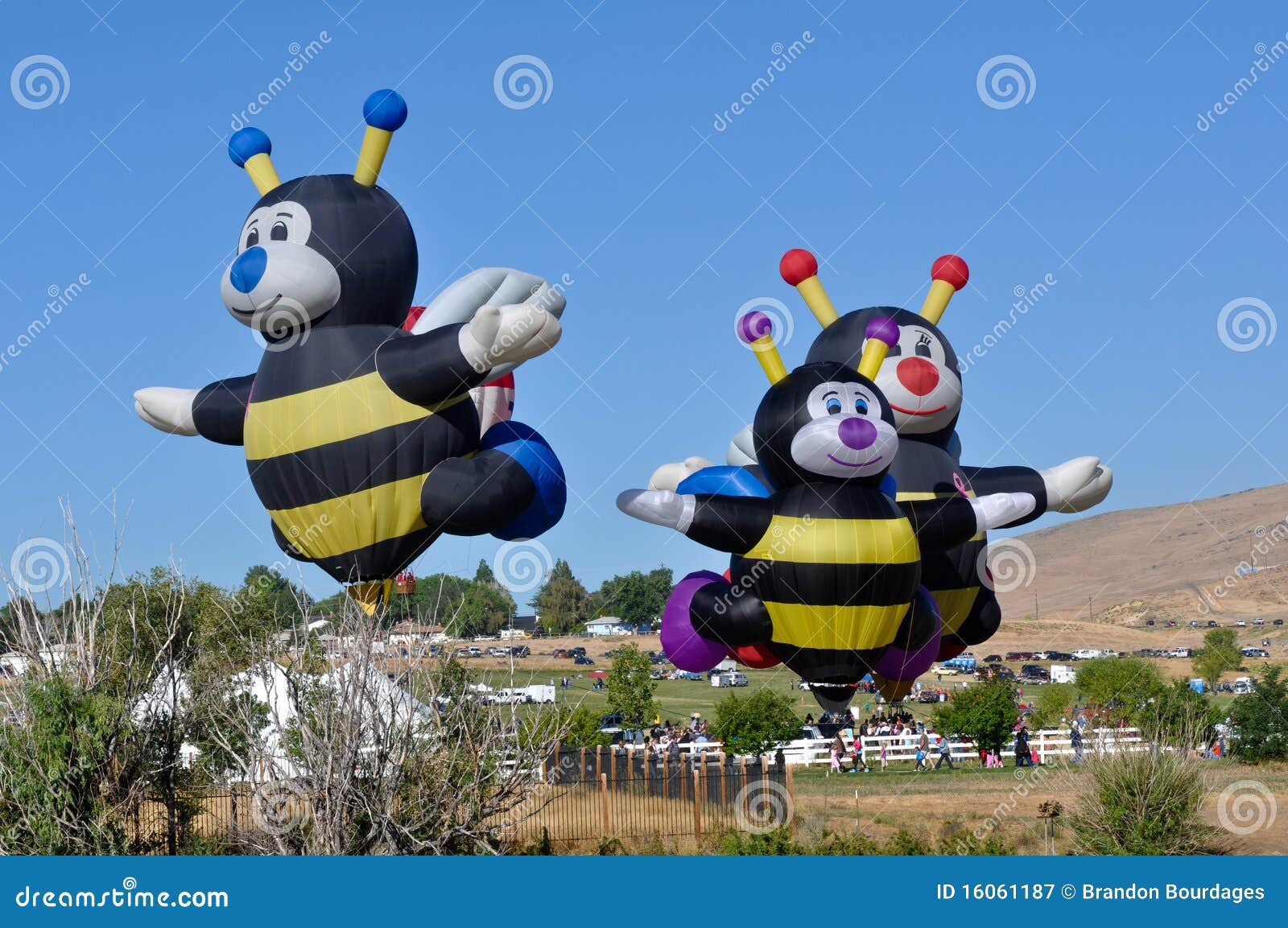 Reno Hot Air Balloon Race 2010 Editorial Photography - Image of ...