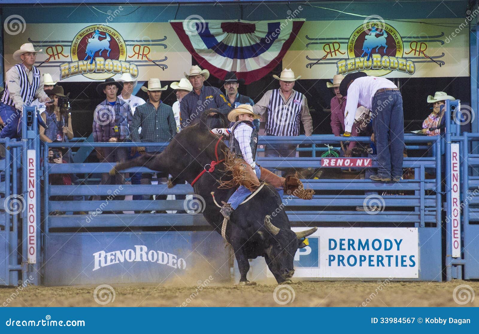 Reno Rodeo fotografia editorial. Imagem de nevada, americano - 33984567