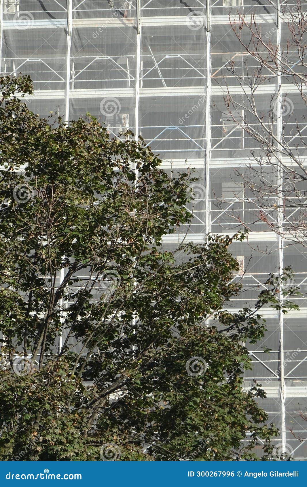 Renovation of the External Facade of a Building, Metal Scaffolding with ...