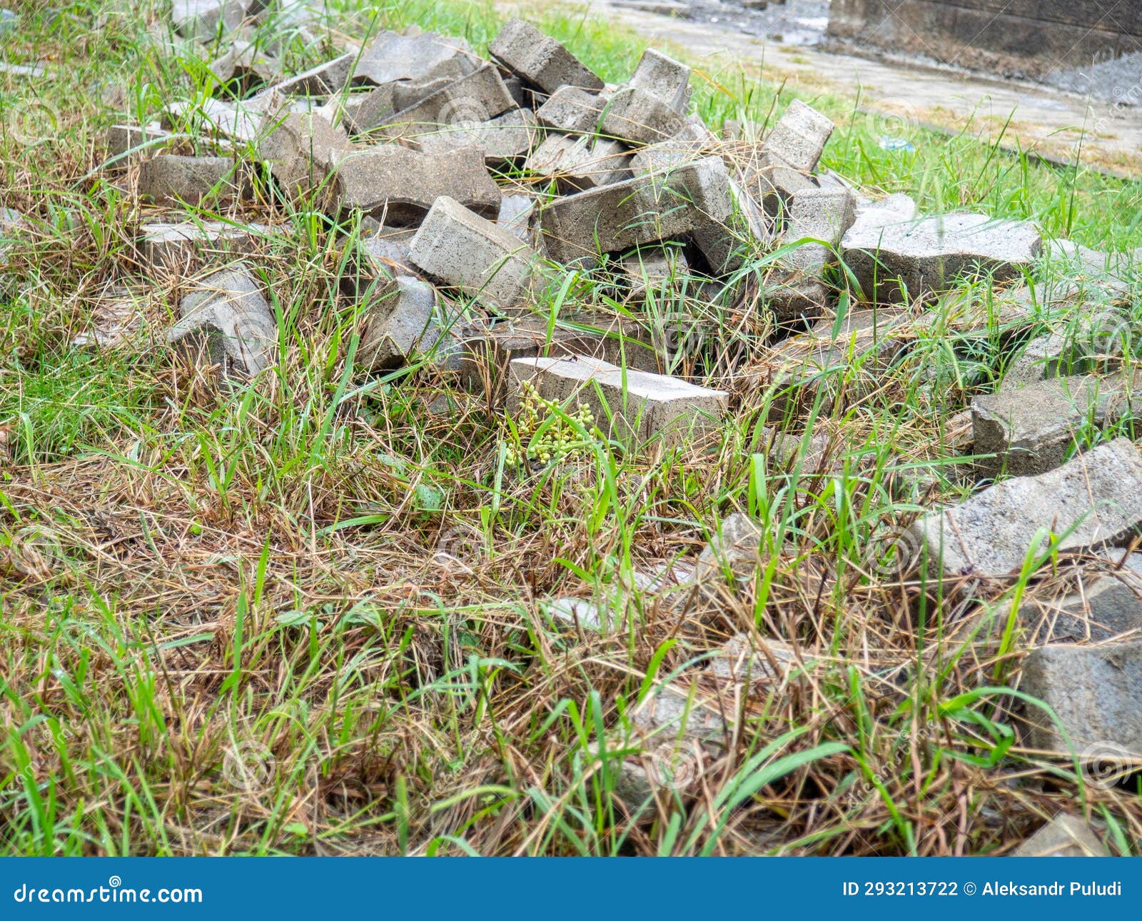 Renovation. Sidewalk Renovation. Tiles on the Grass Stock Photo - Image ...