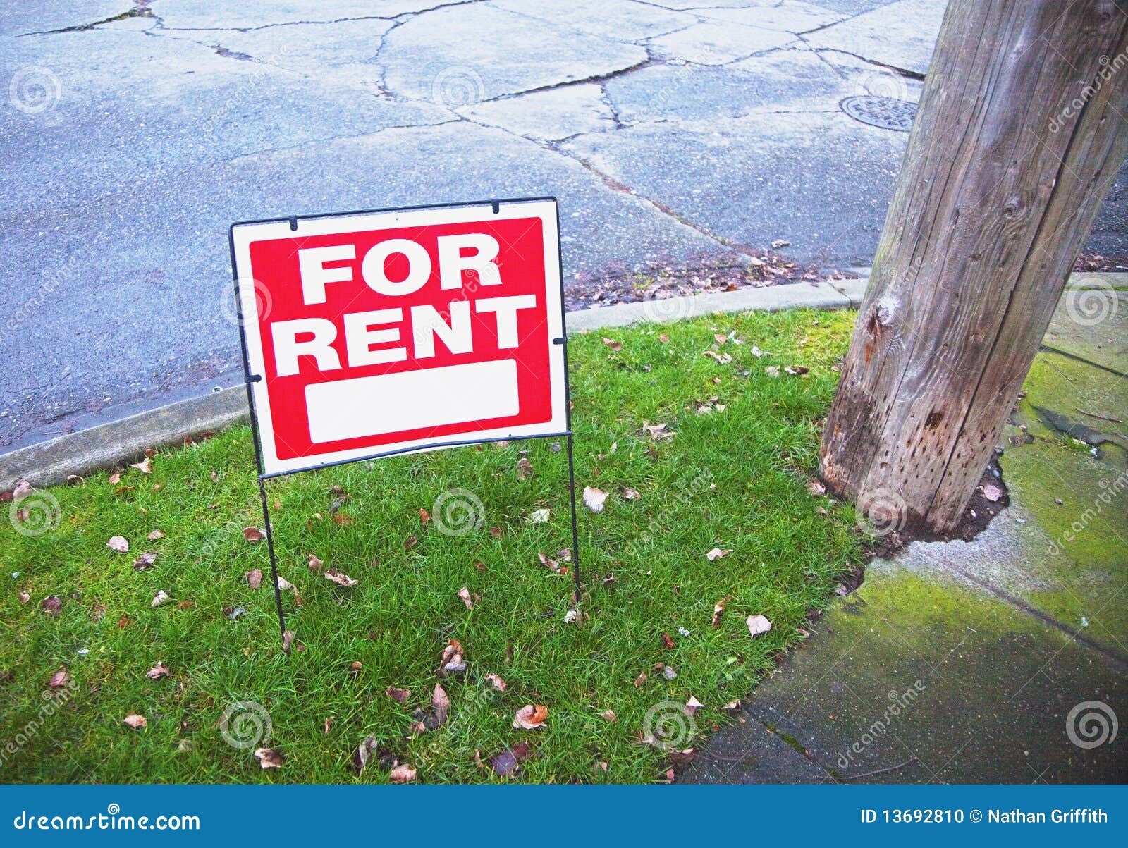 For rent sign stock photo. Image of bright, telephone - 13692810