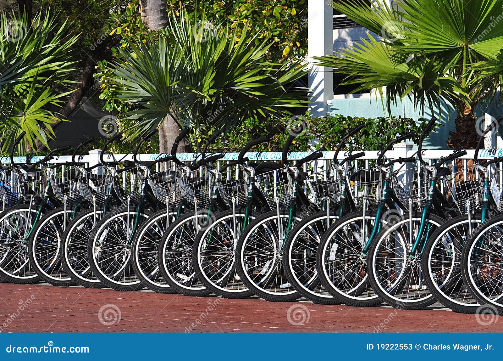 Rental Bicycles stock image. Image of ride, tires, bikes - 19222553