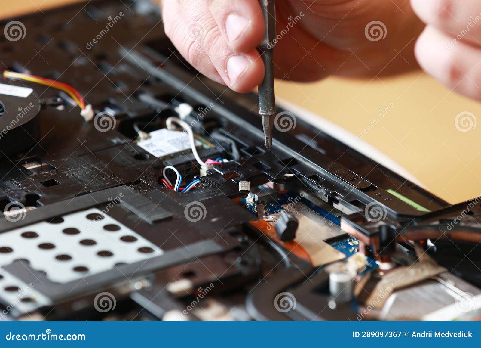 Repaiman with Screwdriver Fixing Disassembled Laptop Parts. Technical ...