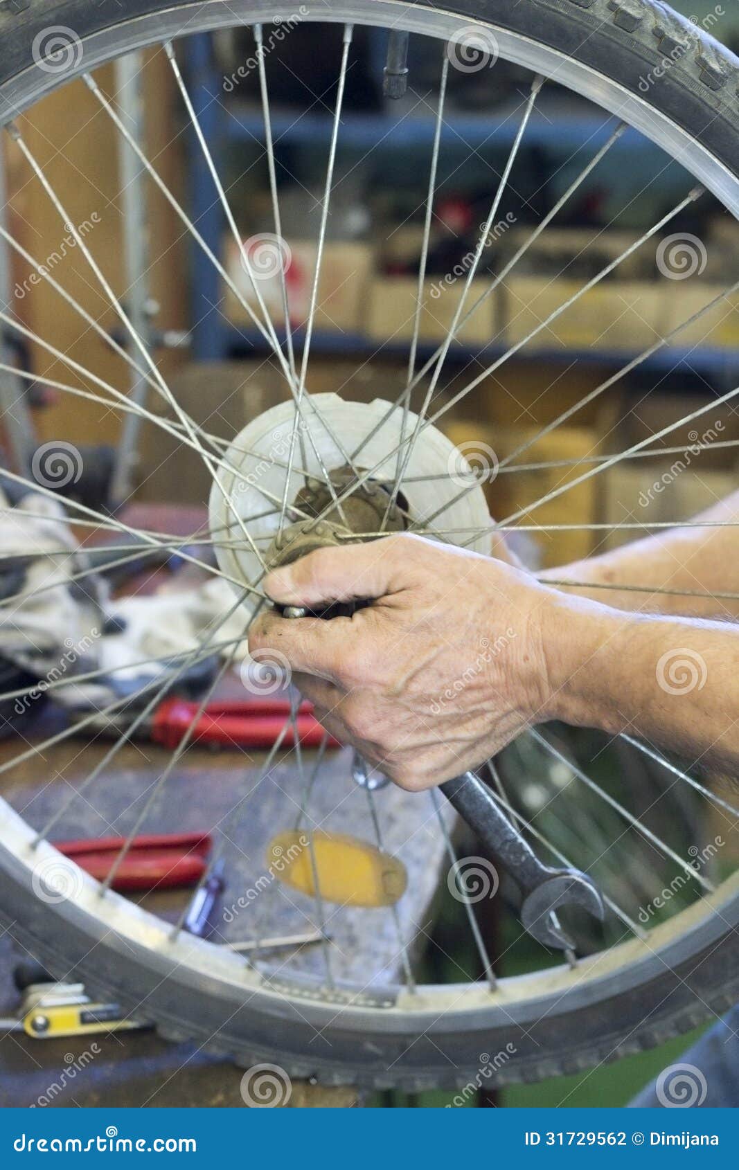 Repair bicycle stock photo. Image of serviceman, tyre - 31729562