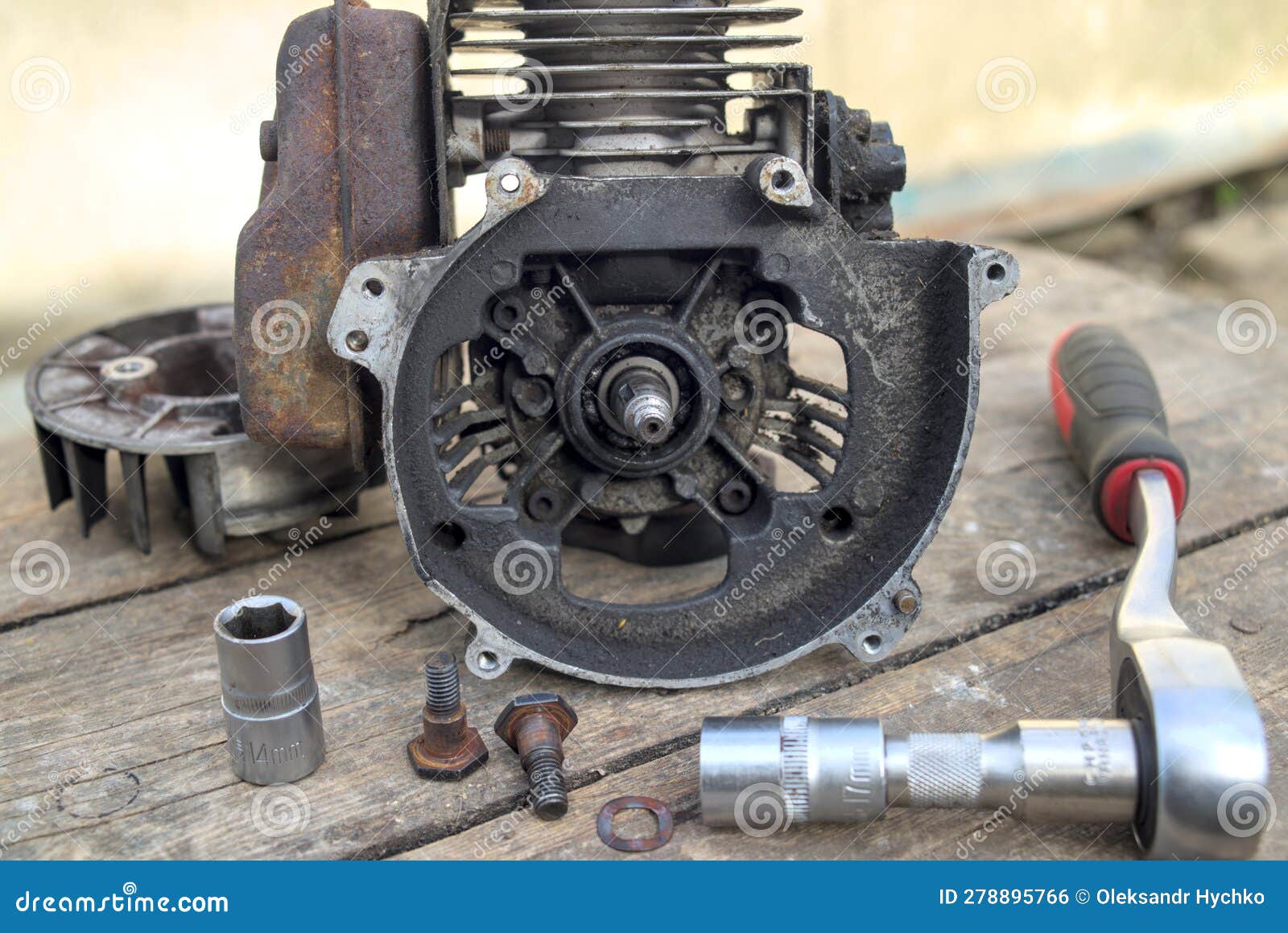 Repair a Broken Trimmer,disassembled the Old Trimmer Stock Photo ...