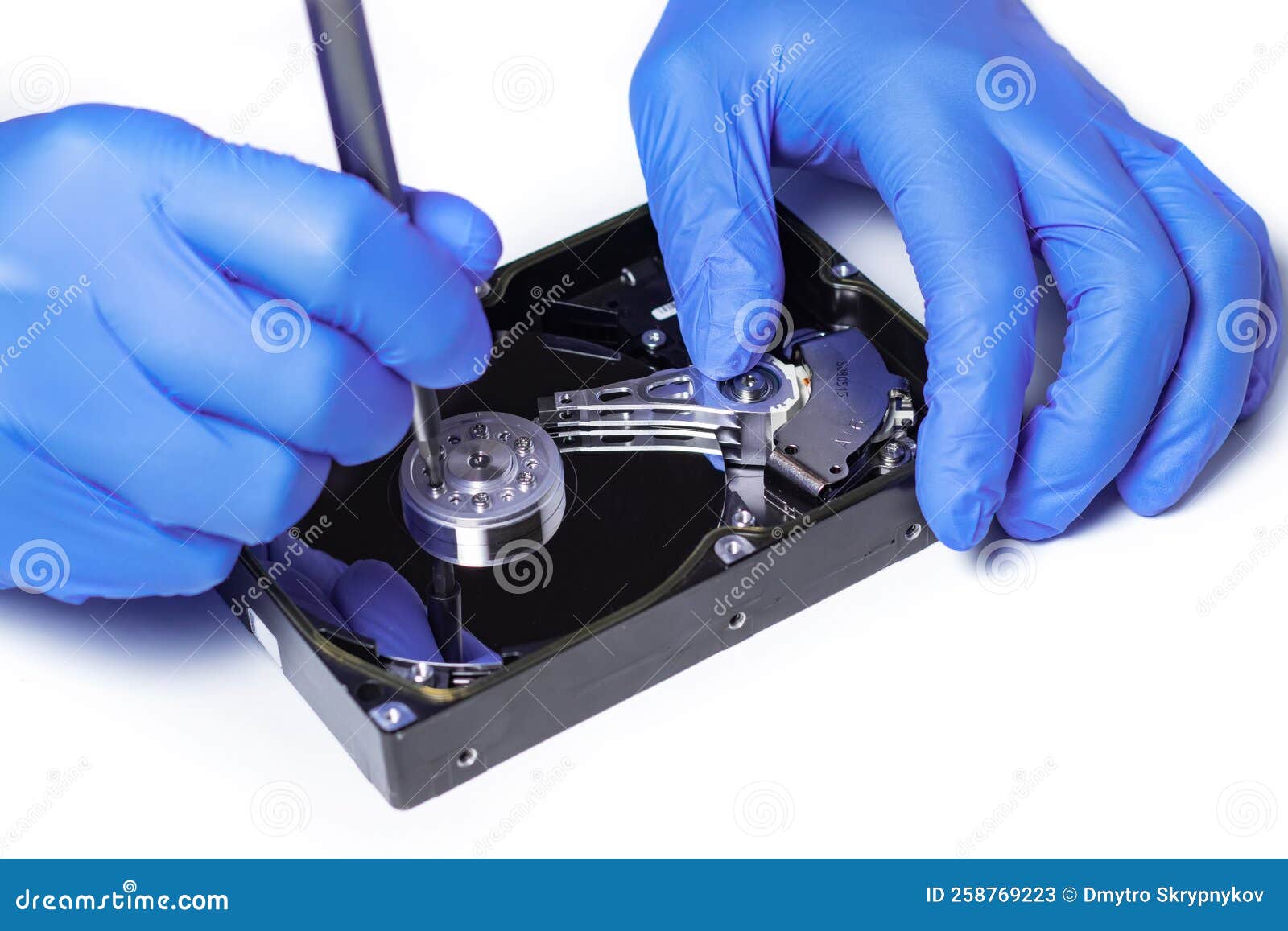 Repair Hard Disk. Hands of Master in Gloves with Screwdriver Repair the ...