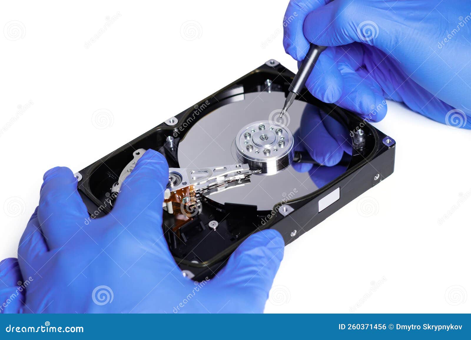 Repair Hard Disk. Hands of Master in Gloves with Screwdriver Repair the ...