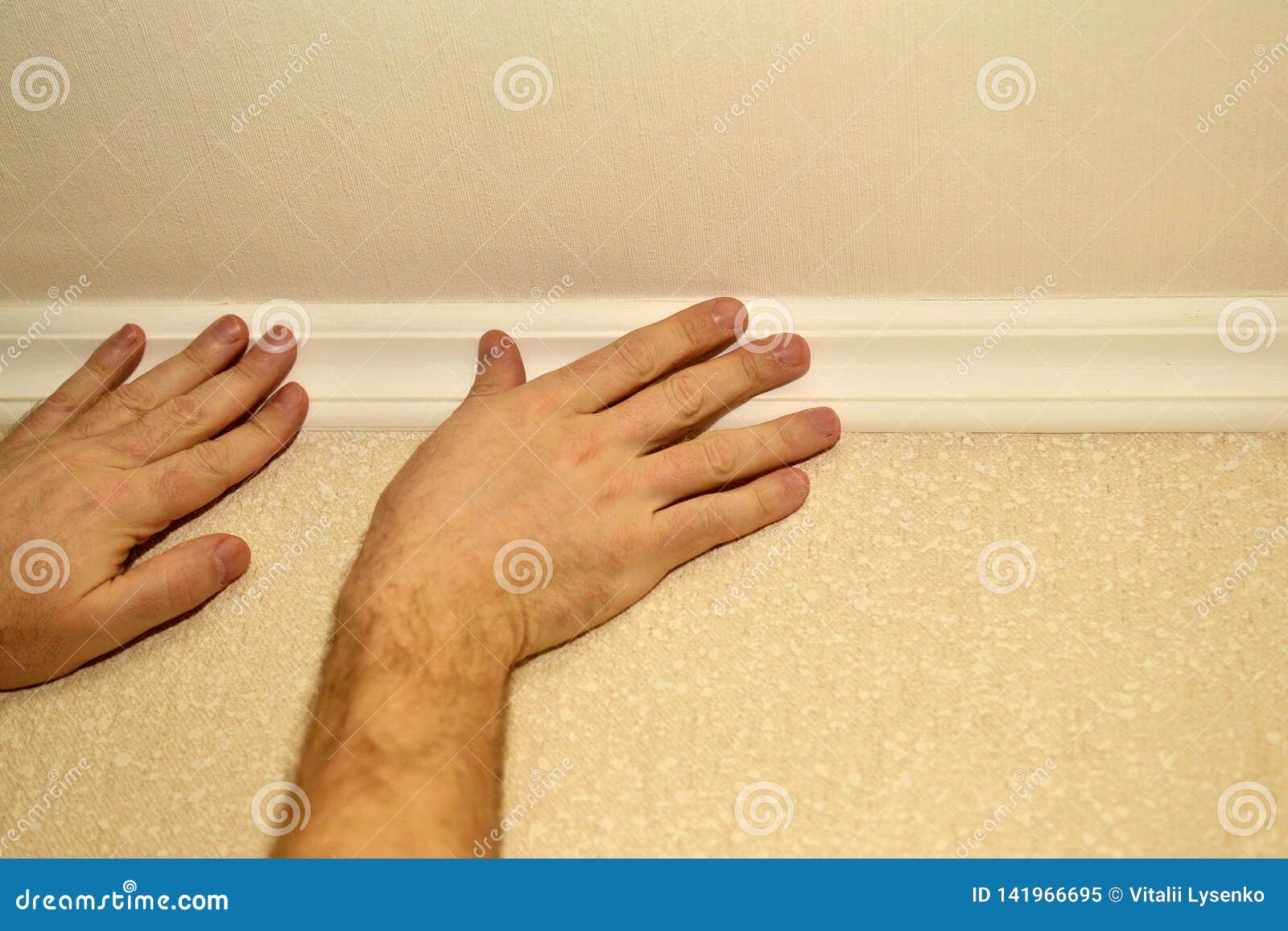 Home Repair Do-it-yourself White Plinth Ceiling Installation Stock ...