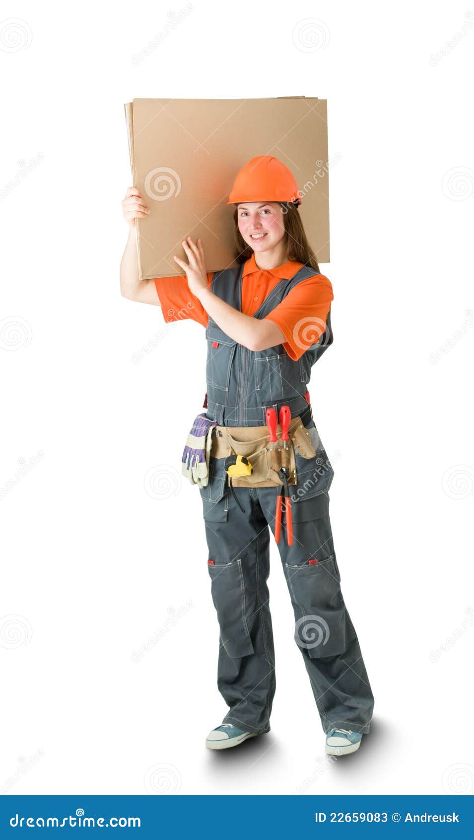 Repair woman stock image. Image of industry, professional - 22659083