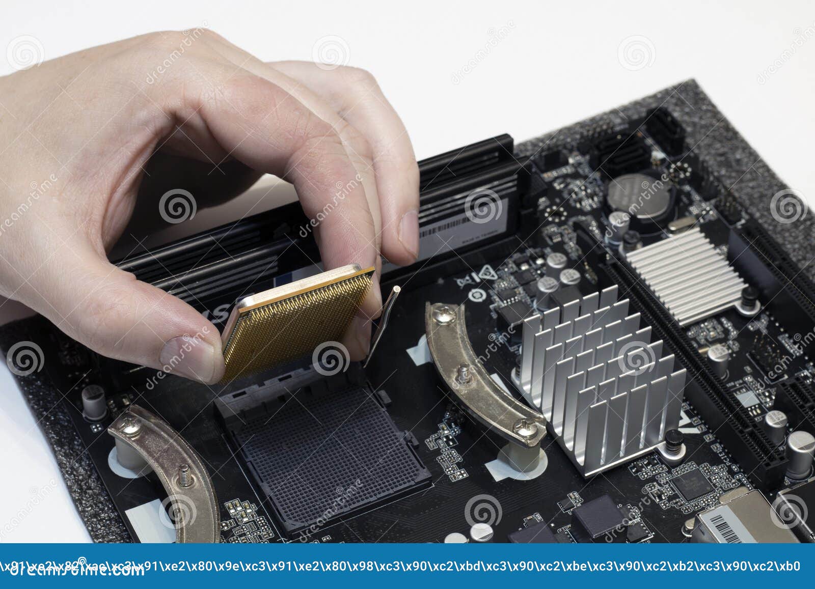 Repairing the Computer& X27;s Processor, the Hand Installs the ...