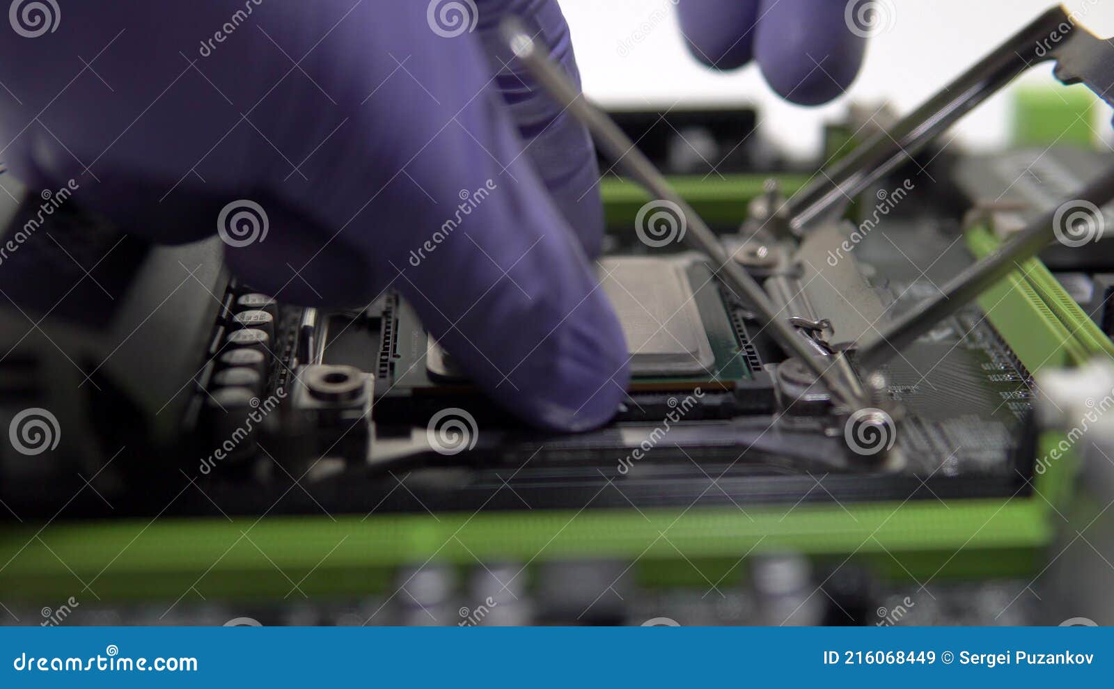 The Repairman Installs the Main Processor into the Socket. Maintenance ...