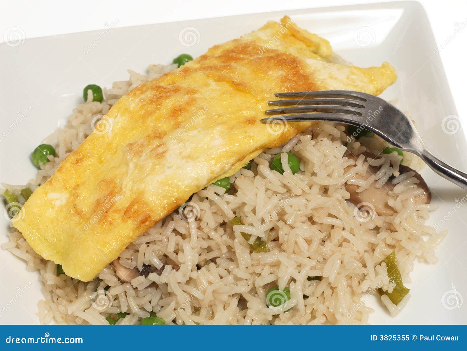 Repas Chinois De Riz Frit D'oeufs Image stock - Image du champignon ...