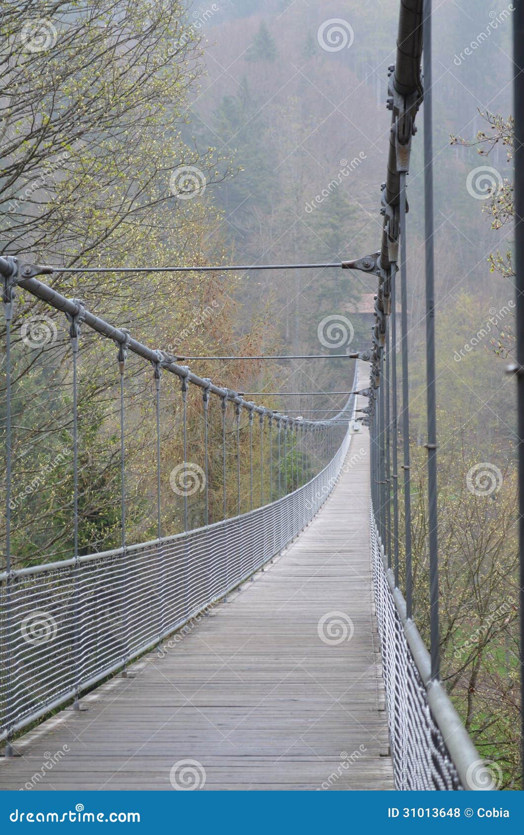 Repbro i dimmiga berg arkivfoto. Bild av skogar, planka - 31013648