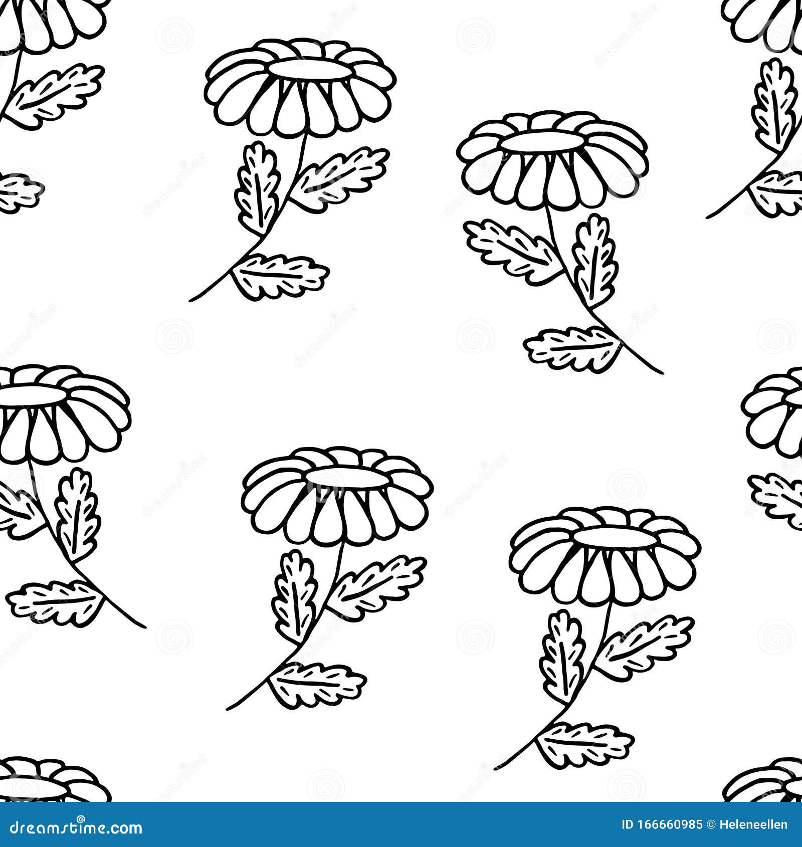 Repeat Pattern of a Hand Drawn Ox-eye Daisy Flower, Outline Sketch ...