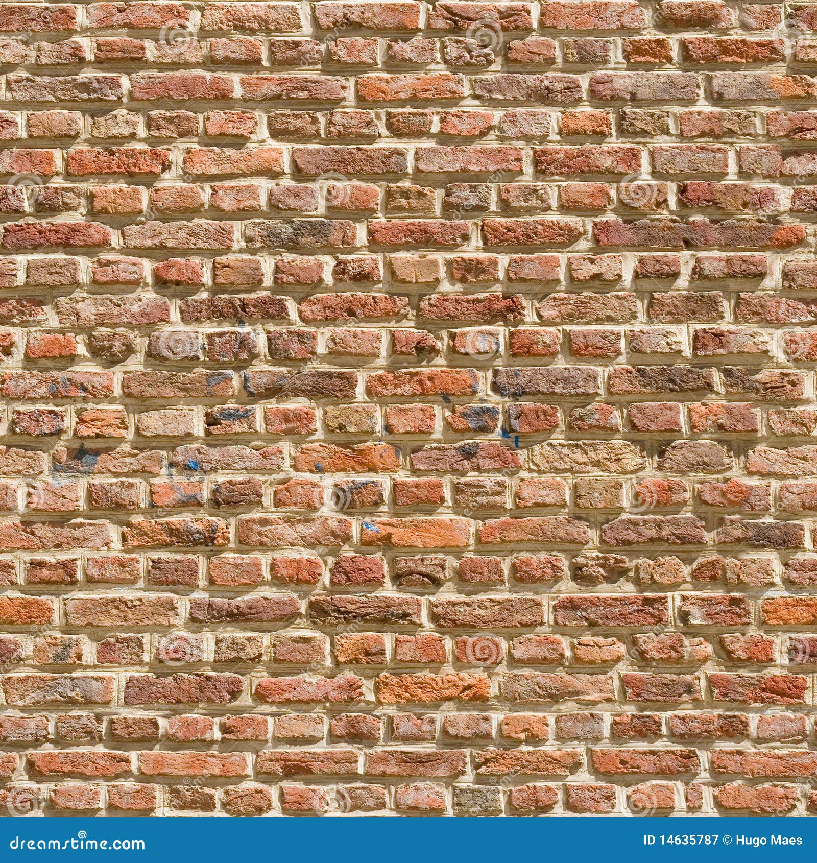 Medieval Map On The Wall. Royalty-Free Stock Image | CartoonDealer.com ...