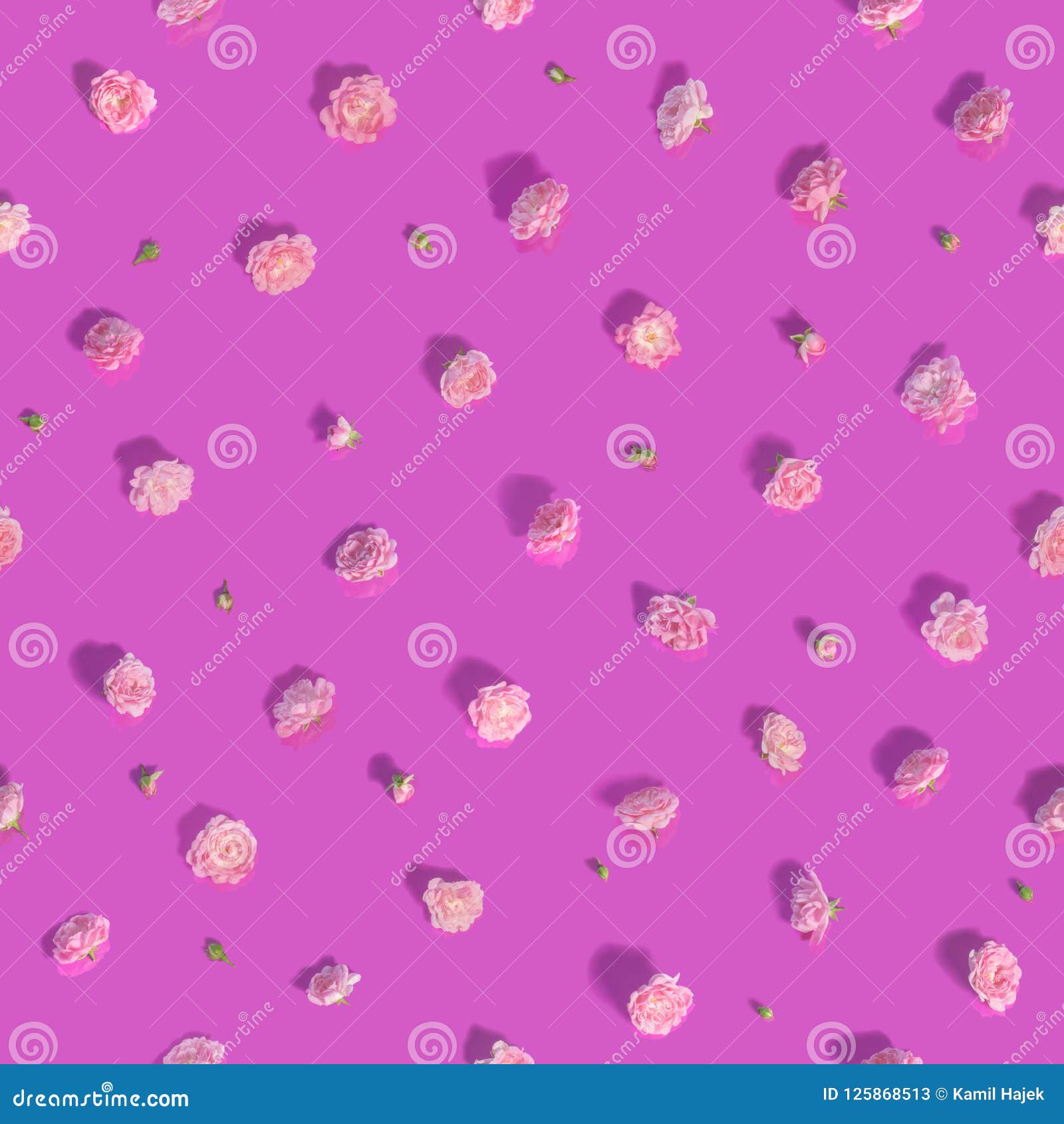 Repeatable Pink Roses with Shadow and Reflection Stock Illustration ...