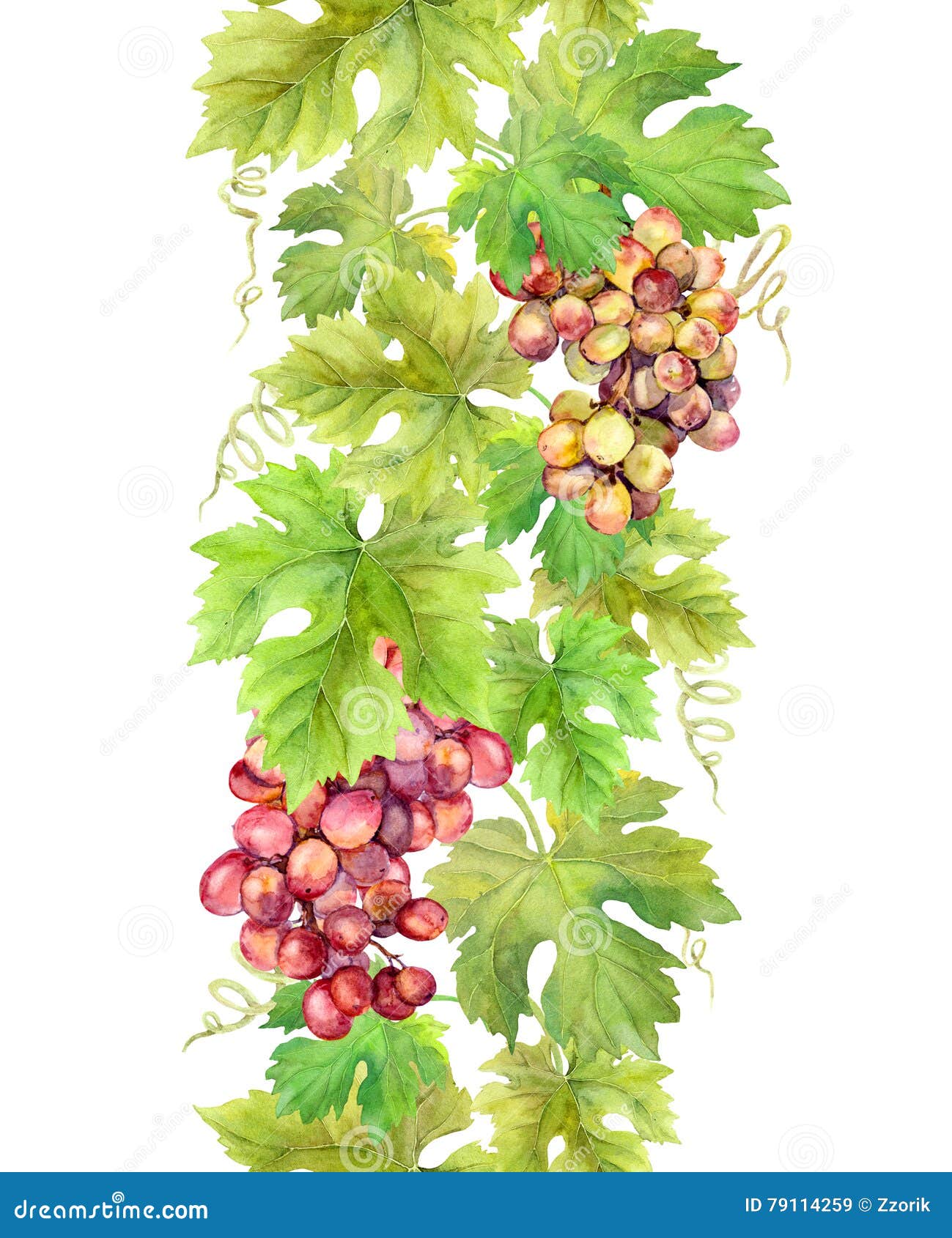 Repeating Border Stripe with Grape and Leaves. Watercolor Frame Stock ...