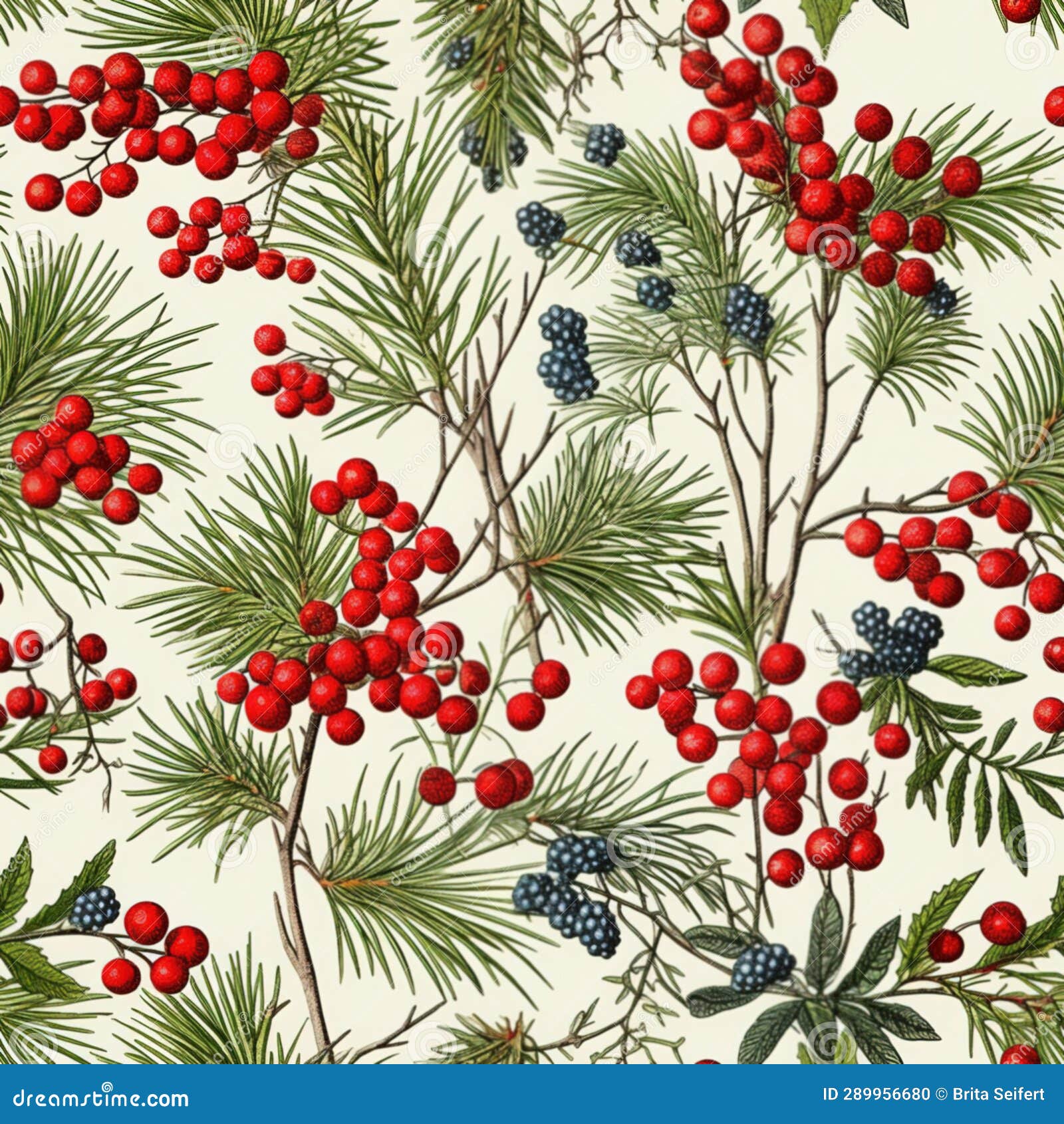A Repeating Watercolor Christmas Pattern of Holly Berries Stock ...