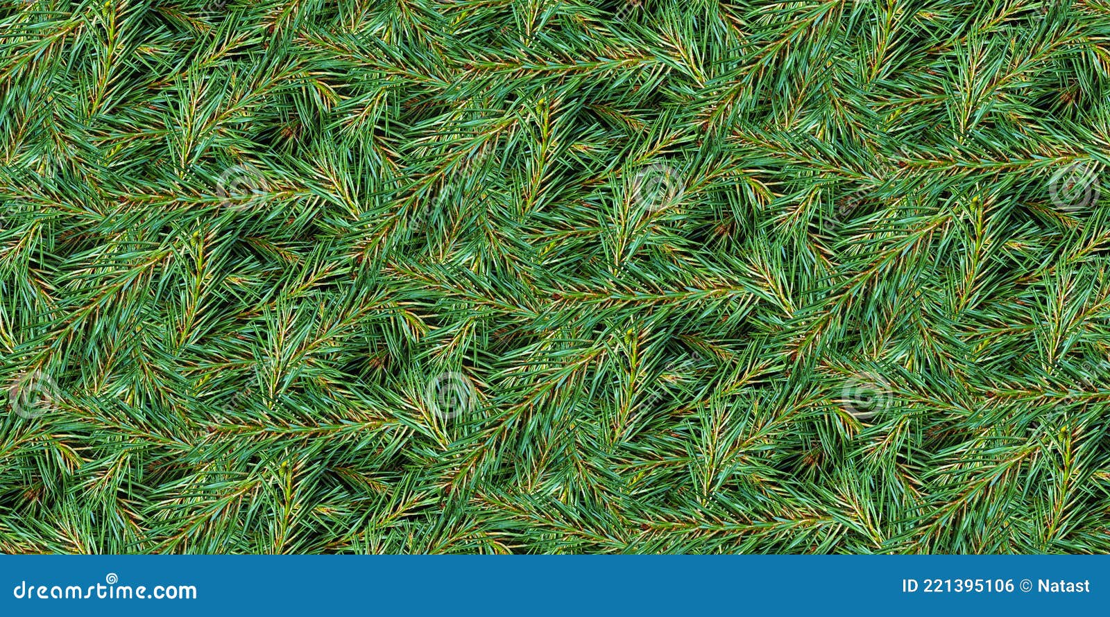 Repetitive Natural Pattern with Pine Twigs Stock Photo - Image of group ...