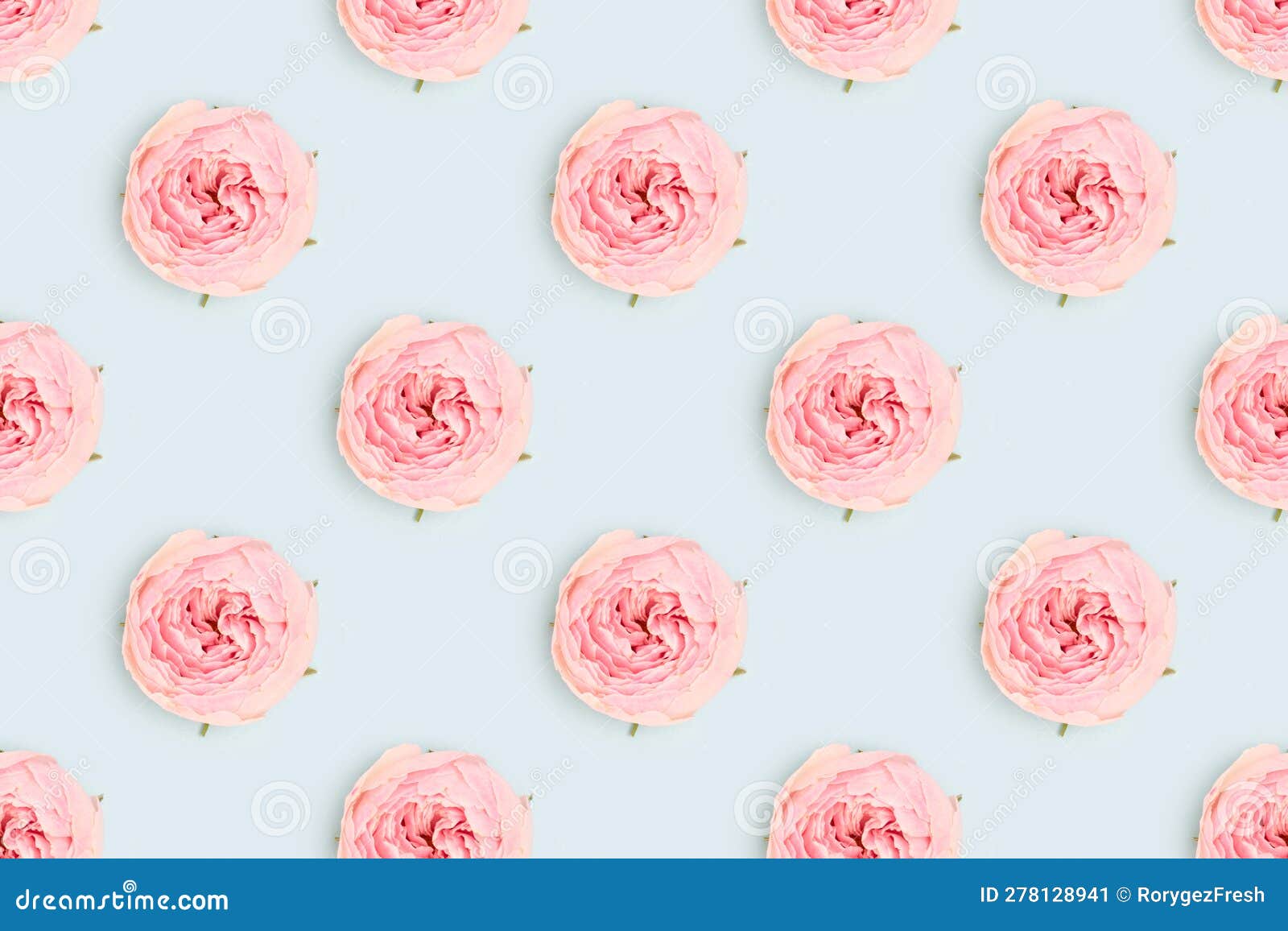 Repetitive Pattern Made of Pink Rose Flower on a Blue Background. Stock ...