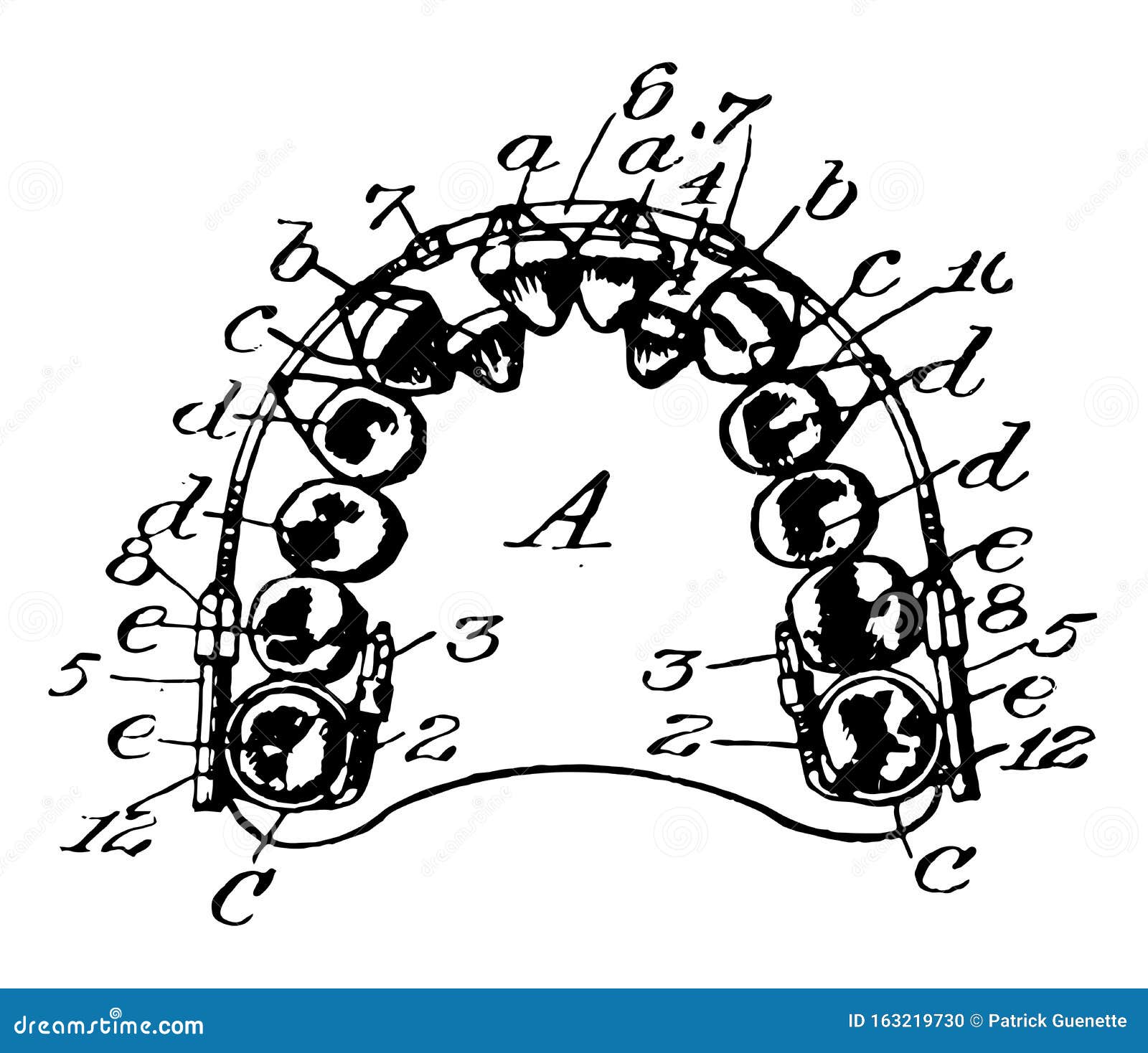Replacement Denture Vintage Illustration Stock Vector - Illustration of ...