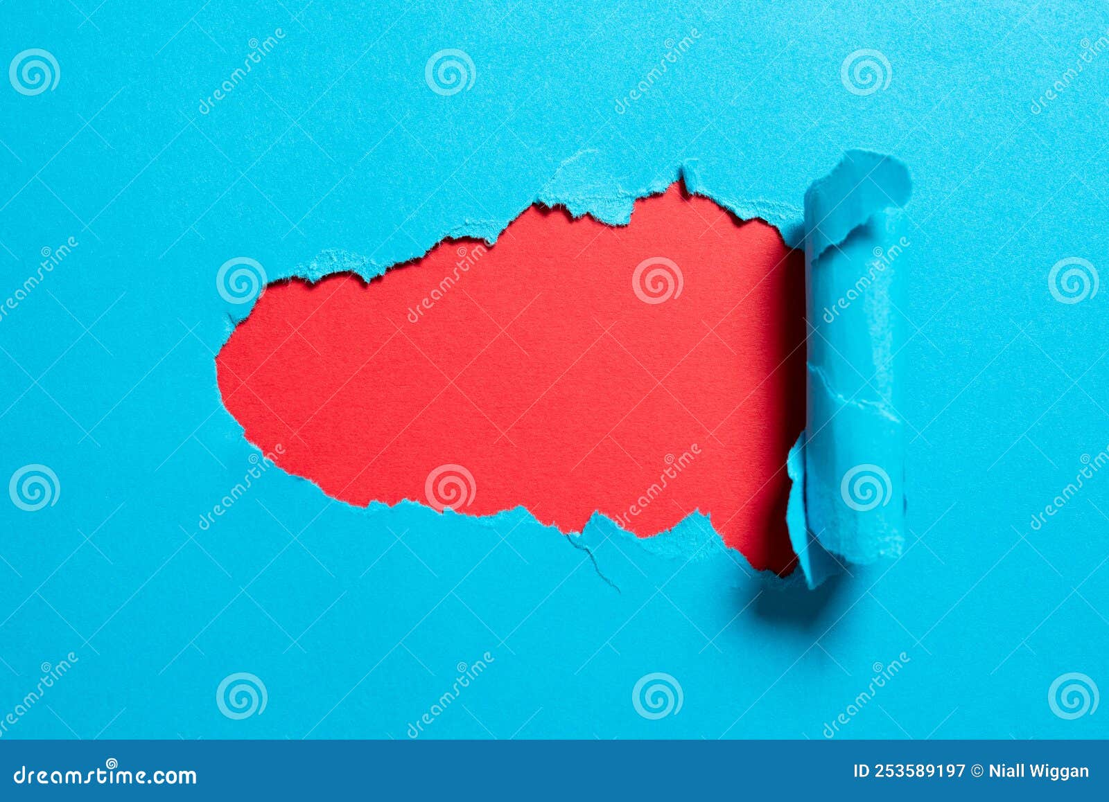 Replacing Old Wallpaper Design, Creating New Wall Pattern Layout ...