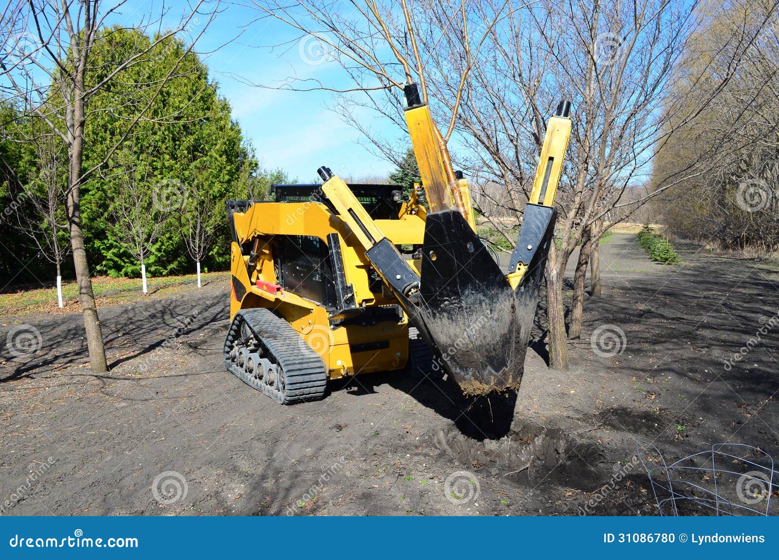 Replanting a tree stock photo. Image of loader, compact - 31086780