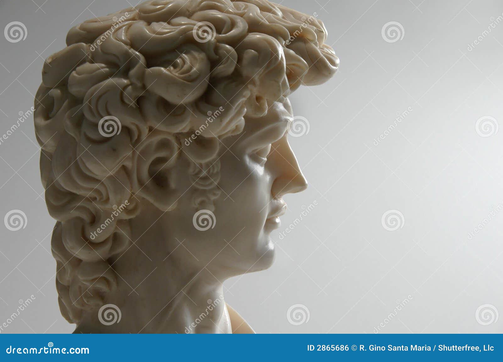 Replica Of David In Marble Picture. Image: 2865686