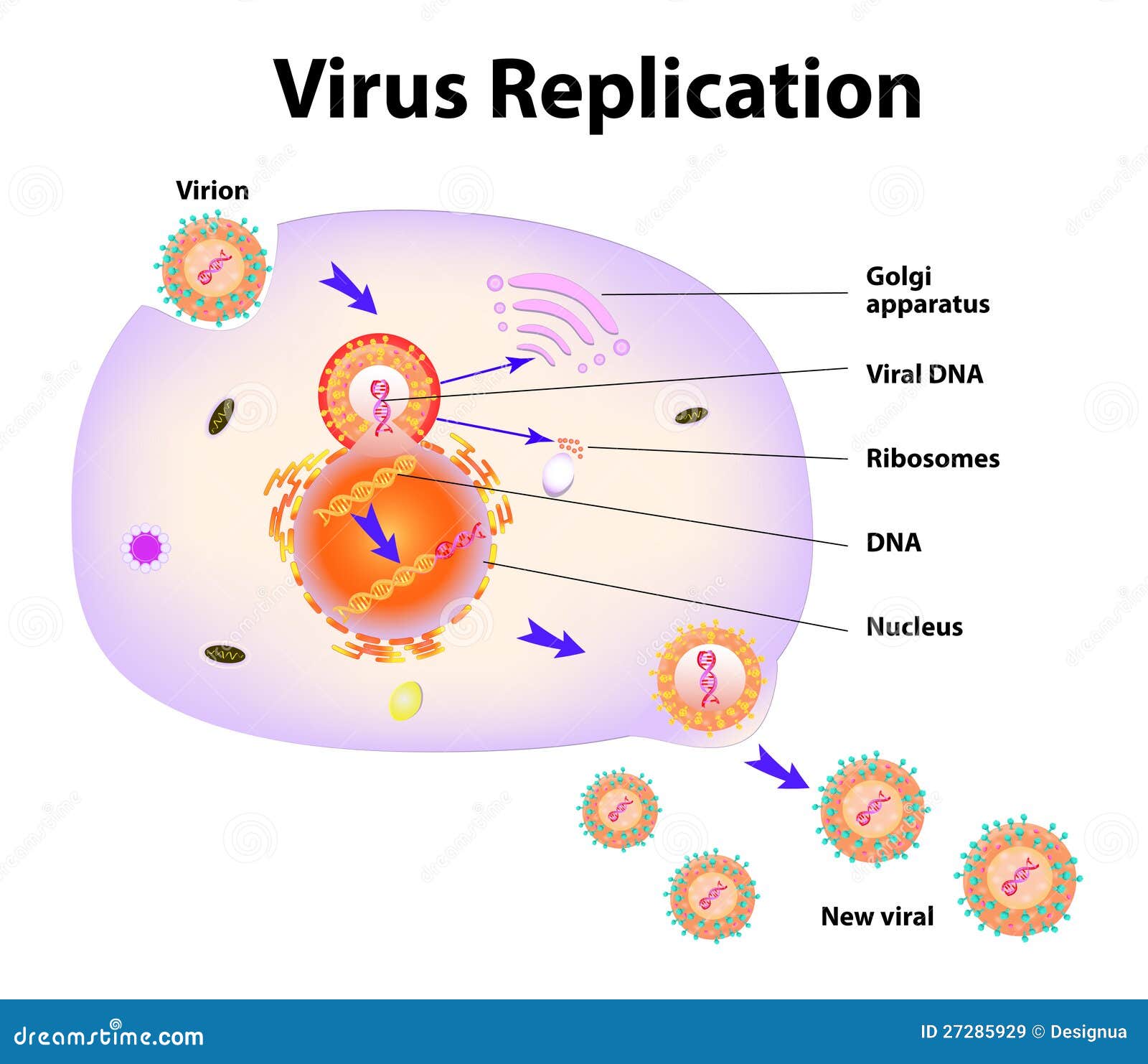 Replica Del Virus. Illustrazione Di Vettore Illustrazione Vettoriale ...