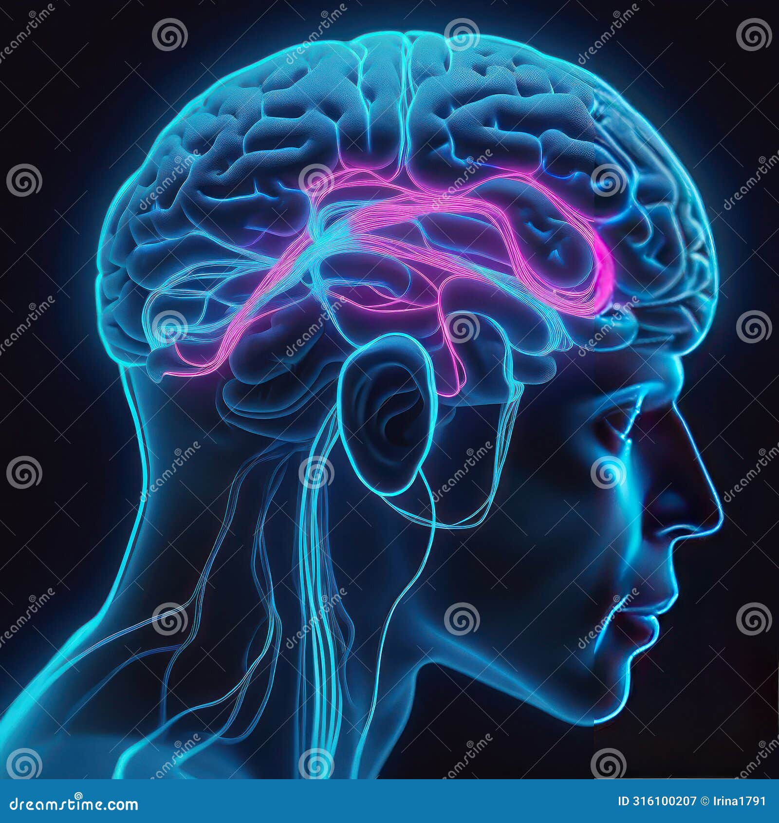 A Replica of a Human Brain in Neon Light. Conceptual Image Stock ...
