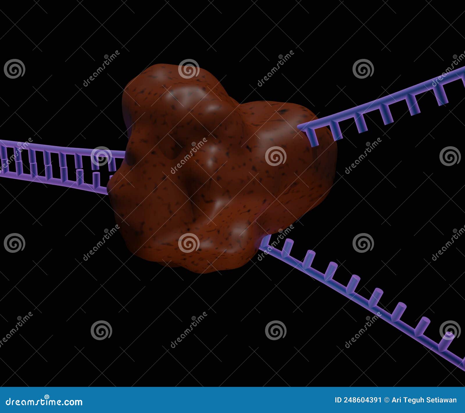 DNA Replication. Replication Fork Vector Illustration | CartoonDealer ...
