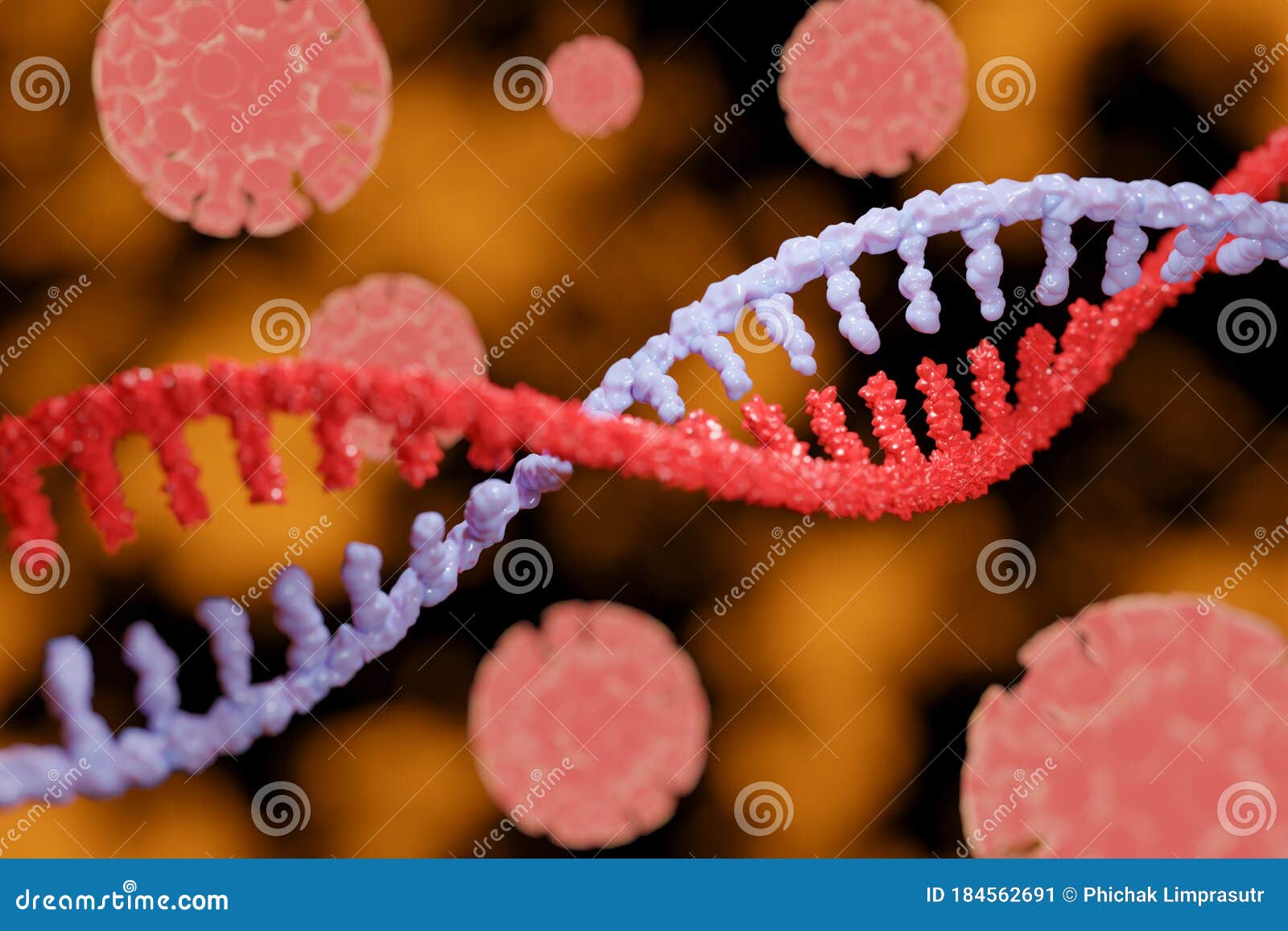 Replication of RNA with Virus RNA Stock Illustration - Illustration of ...