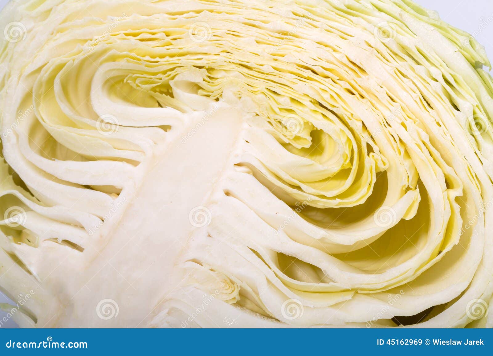 Repolho branco imagem de stock. Imagem de encaracolado - 45162969