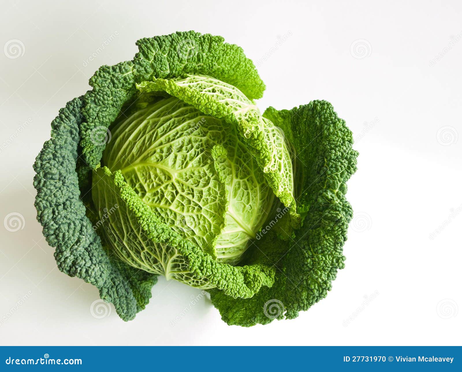 Repolho de Savoy foto de stock. Imagem de alimento, textura - 27731970
