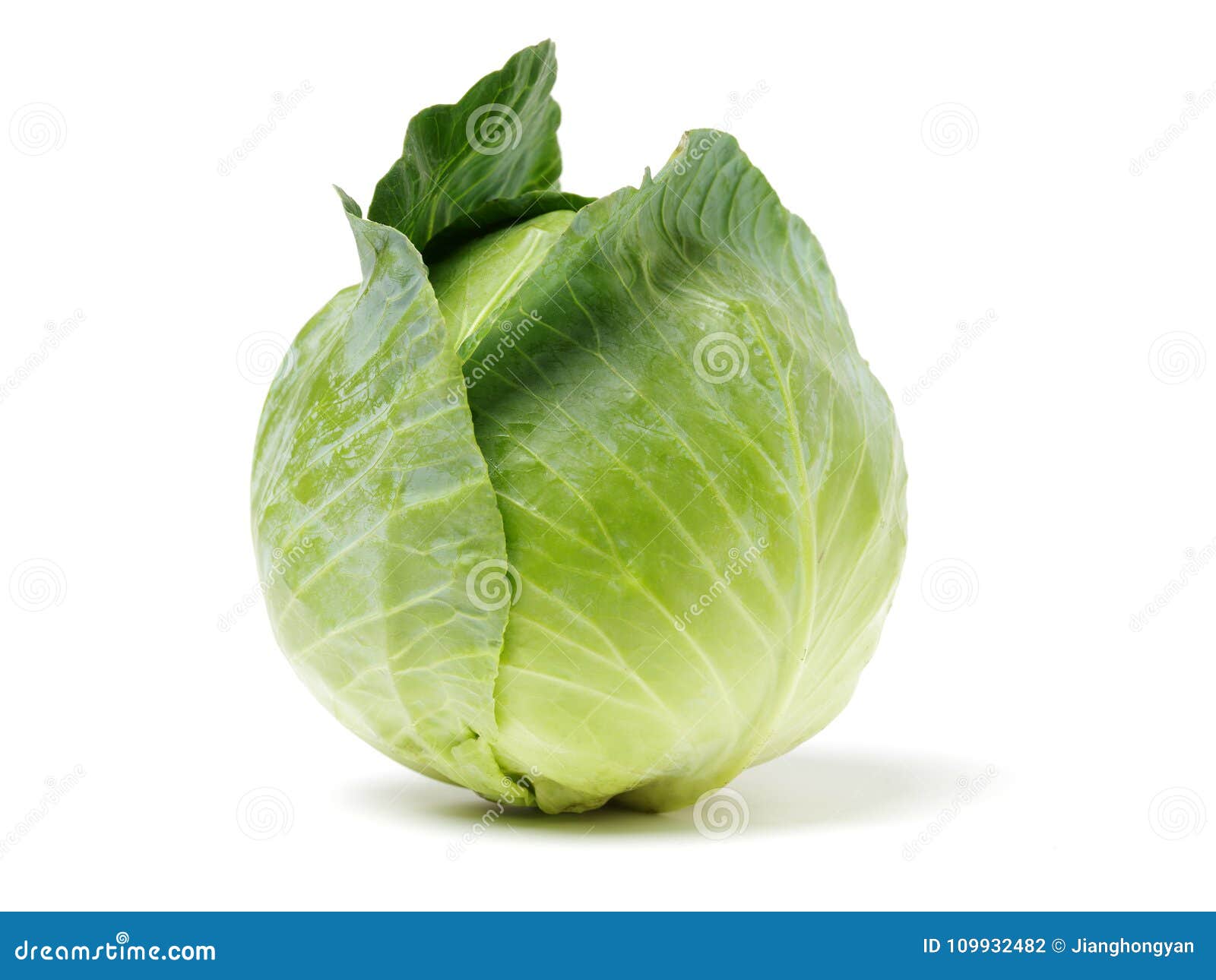 Repolho verde foto de stock. Imagem de comer, gourmet - 109932482