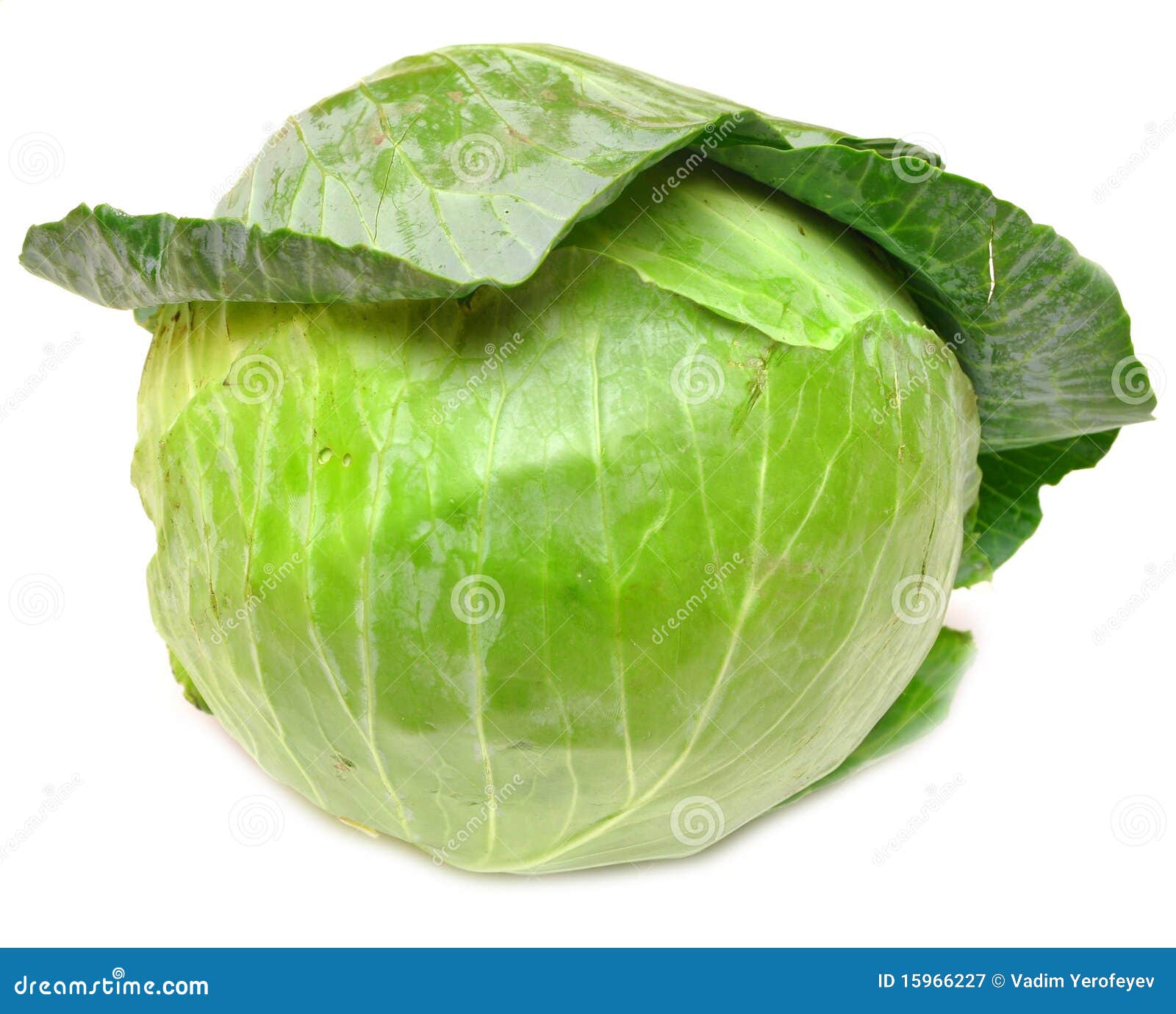 Repolho verde imagem de stock. Imagem de dieta, ingrediente - 15966227