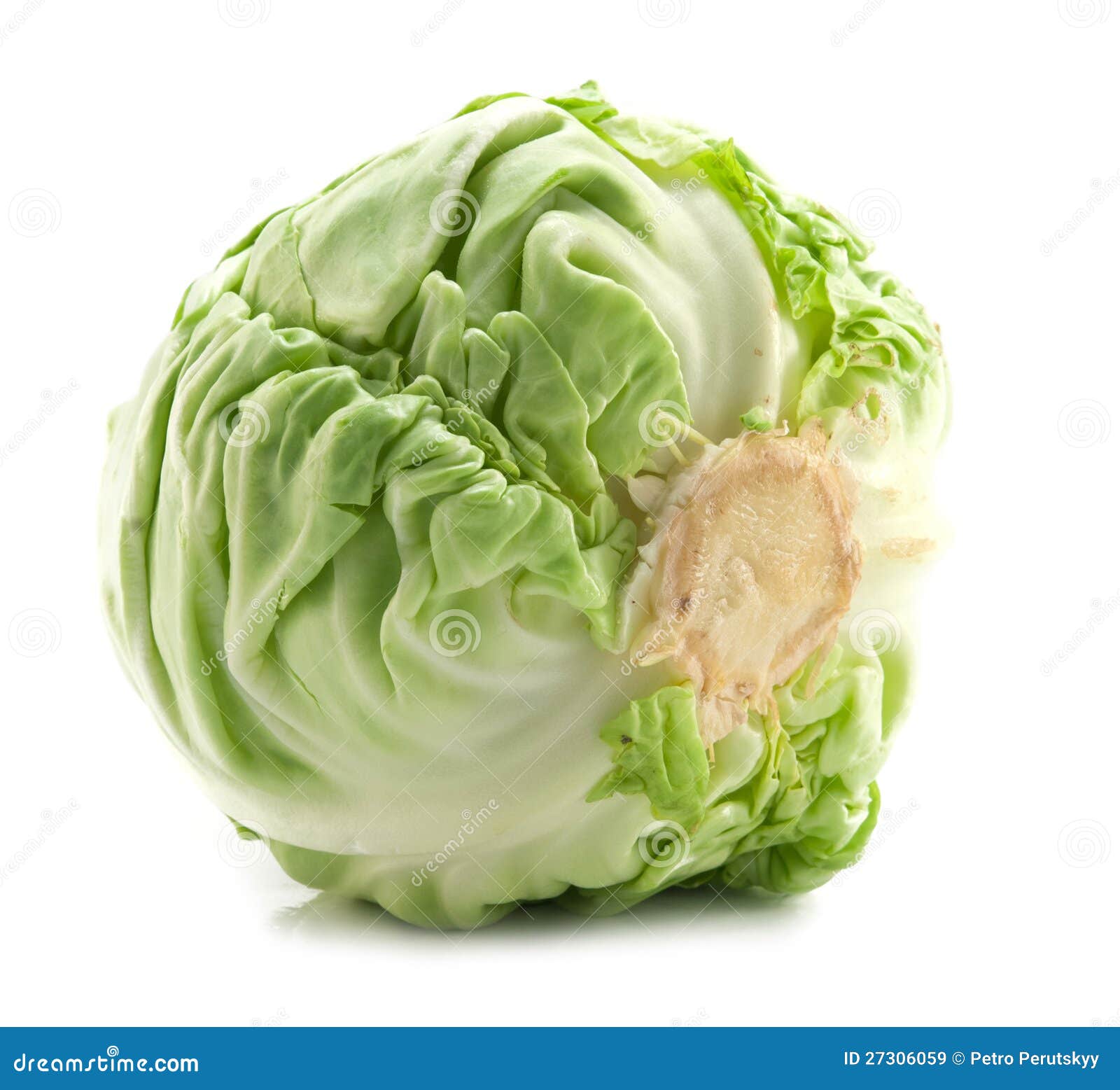 Repolho verde inteiro imagem de stock. Imagem de vegetal - 27306059