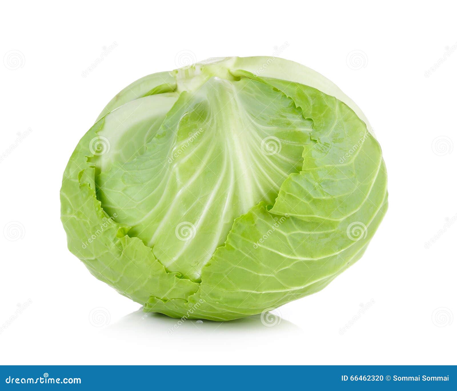 Repolho Verde No Fundo Branco Foto de Stock - Imagem de folha, fundo ...