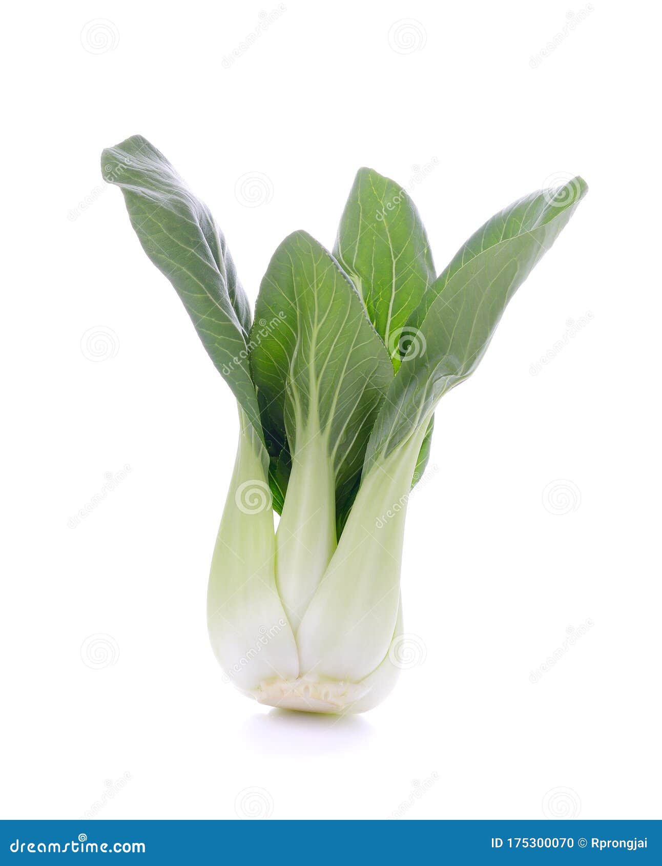 Repollo Chino De Bok Choy Aislado En Blanco Foto de archivo - Imagen de ...