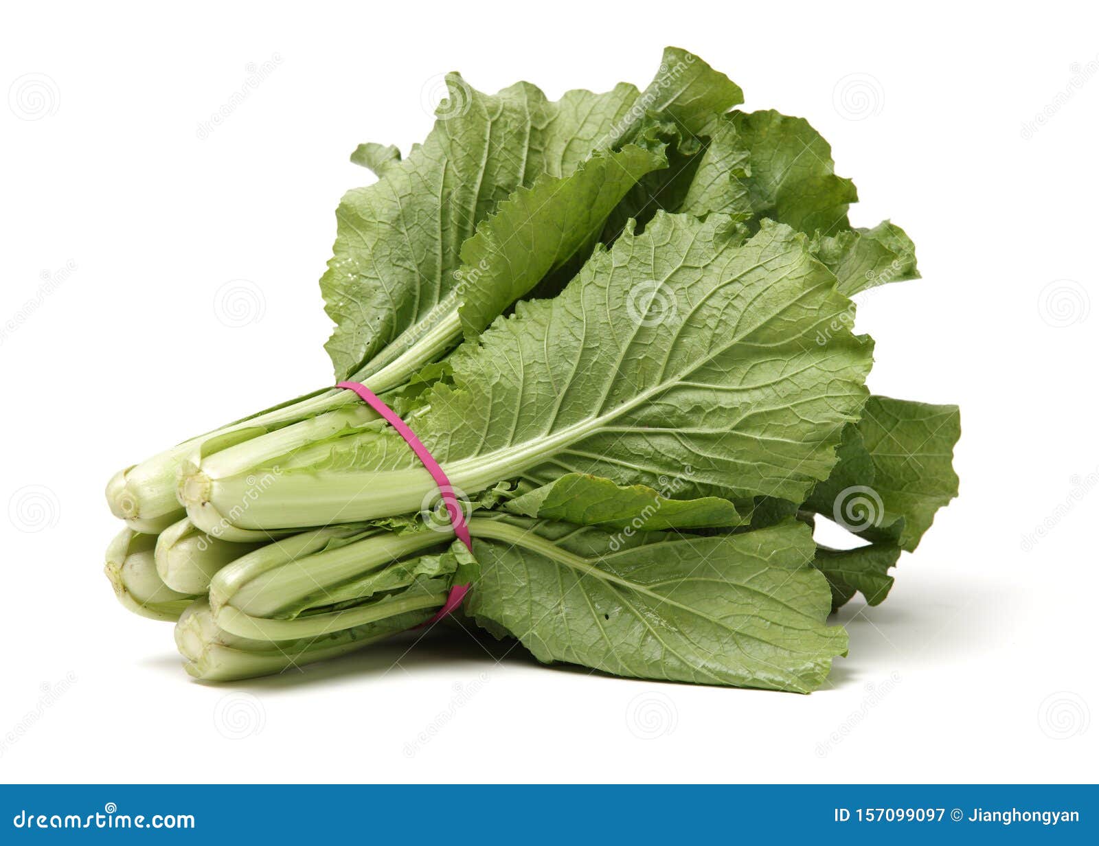 Repollo chino pequeÃ±o imagen de archivo. Imagen de foto - 157099097