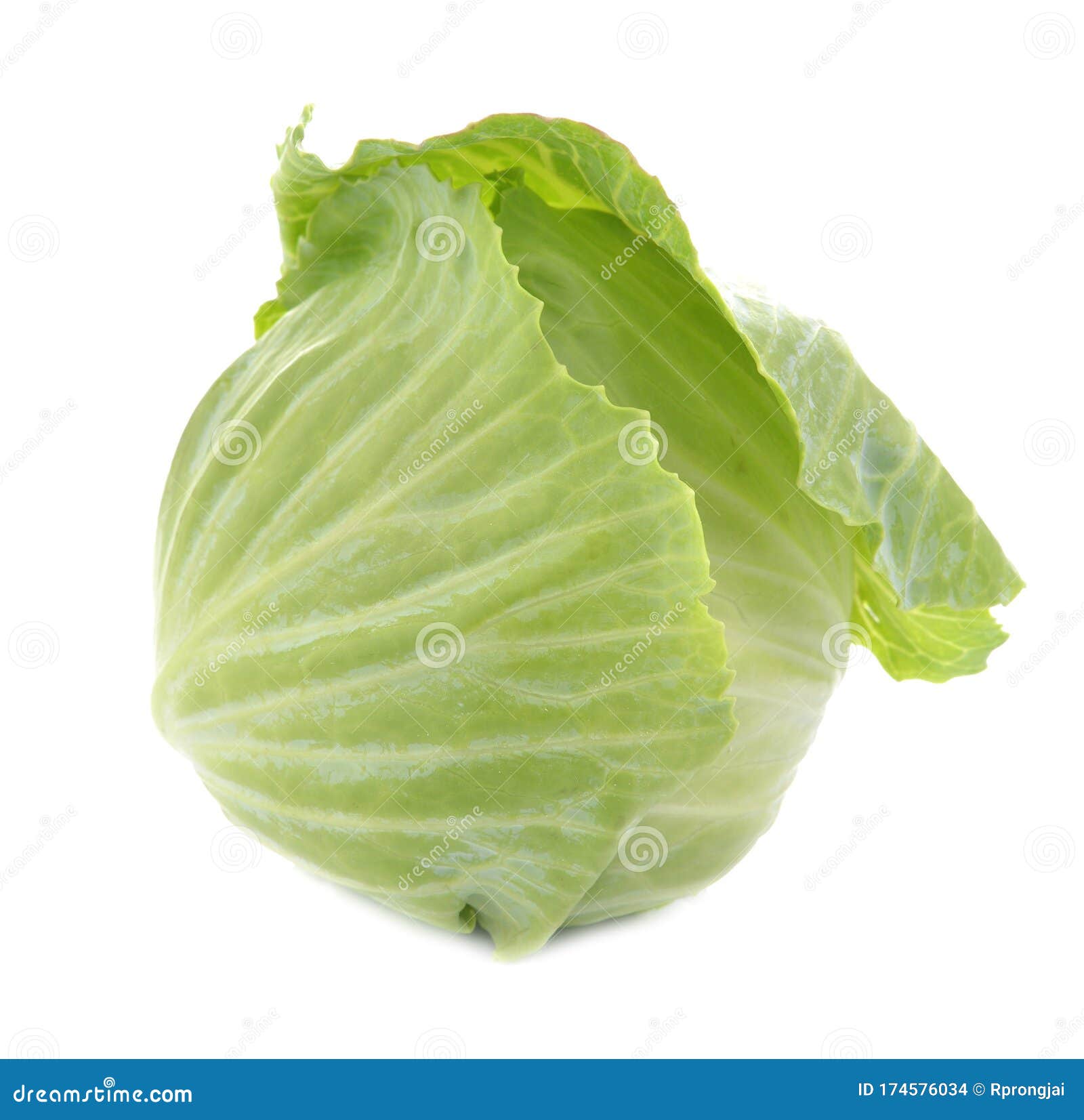 Repollo foto de archivo. Imagen de vibrante, ensalada - 174576034
