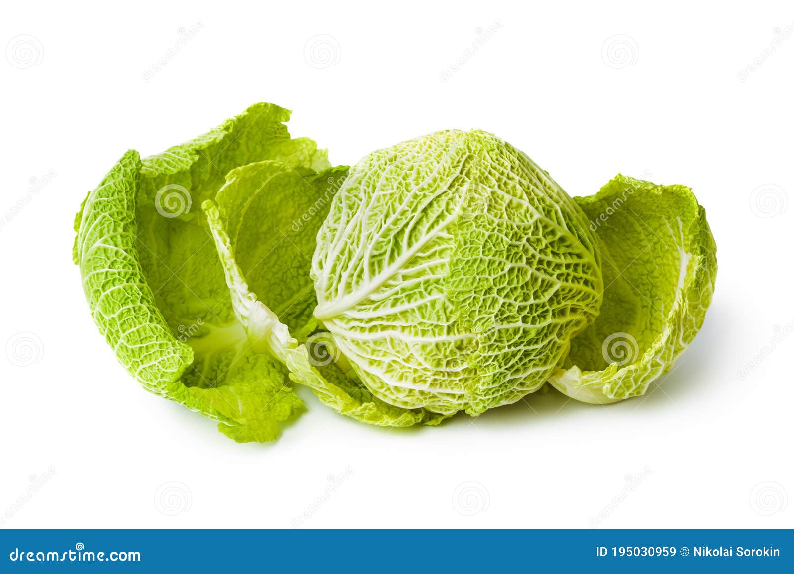 Repollo imagen de archivo. Imagen de comer, manojo, frescura - 195030959