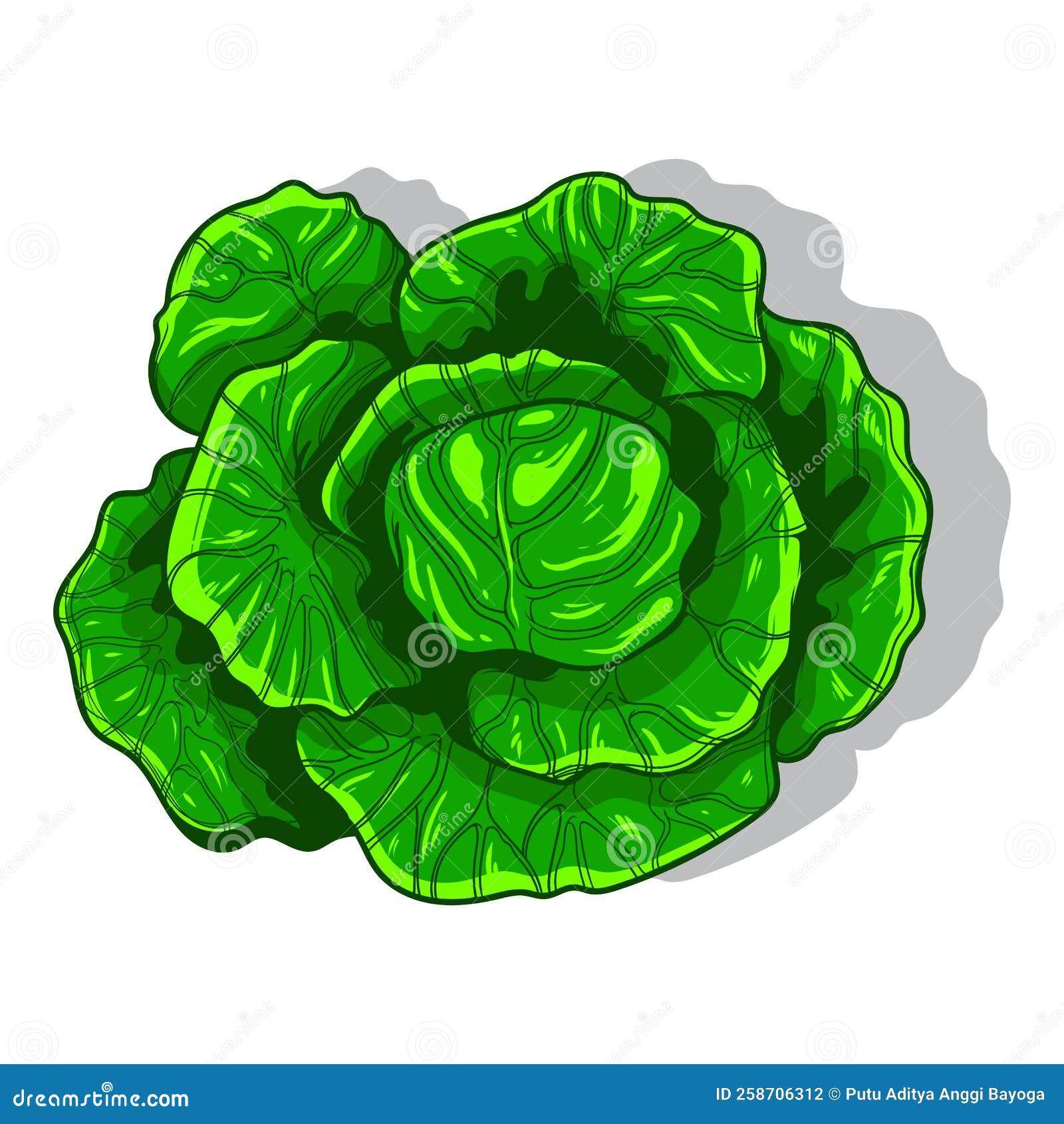 Repollo De Dibujos Animados Ilustración del Vector - Ilustración de ...